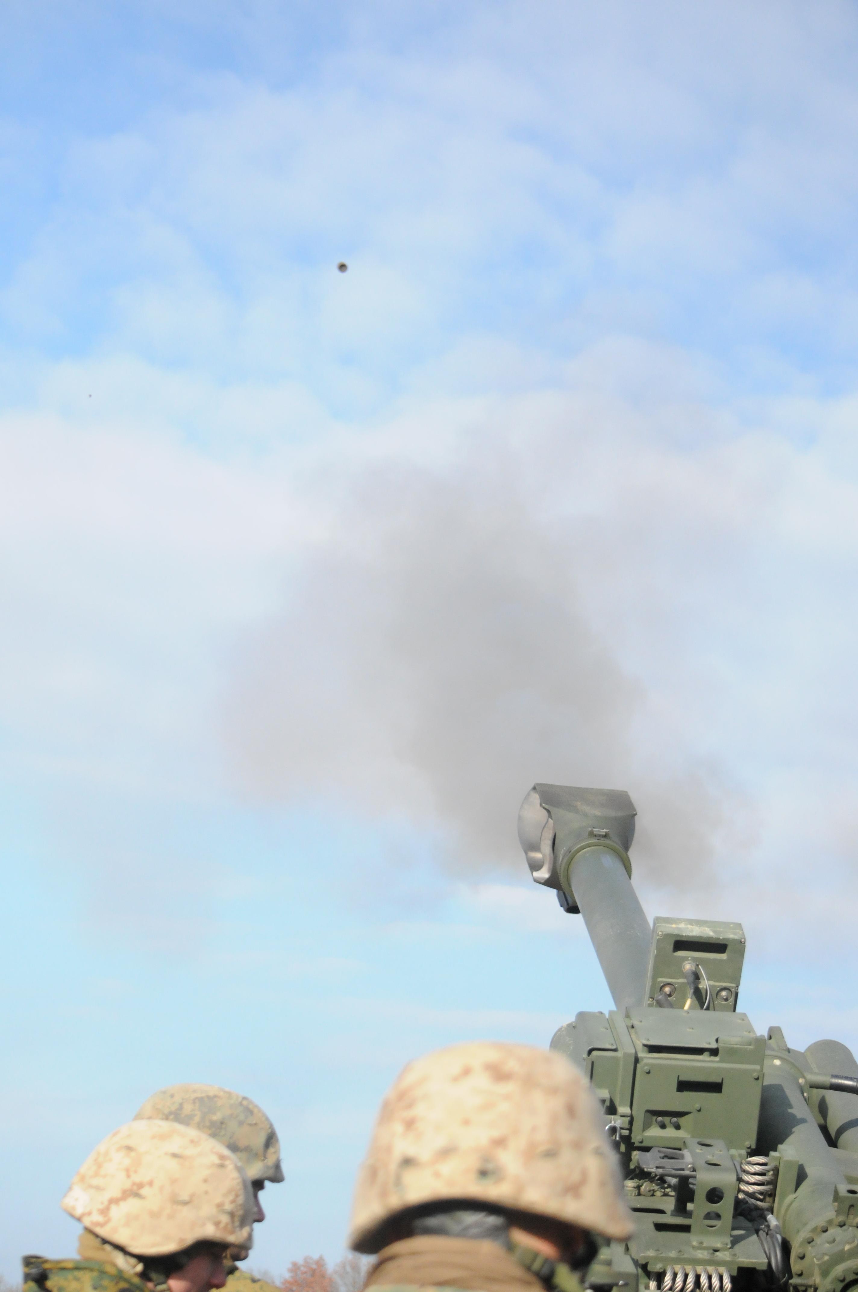 Marines with Artillery Instructor Battery, Combat Instructor Company ...