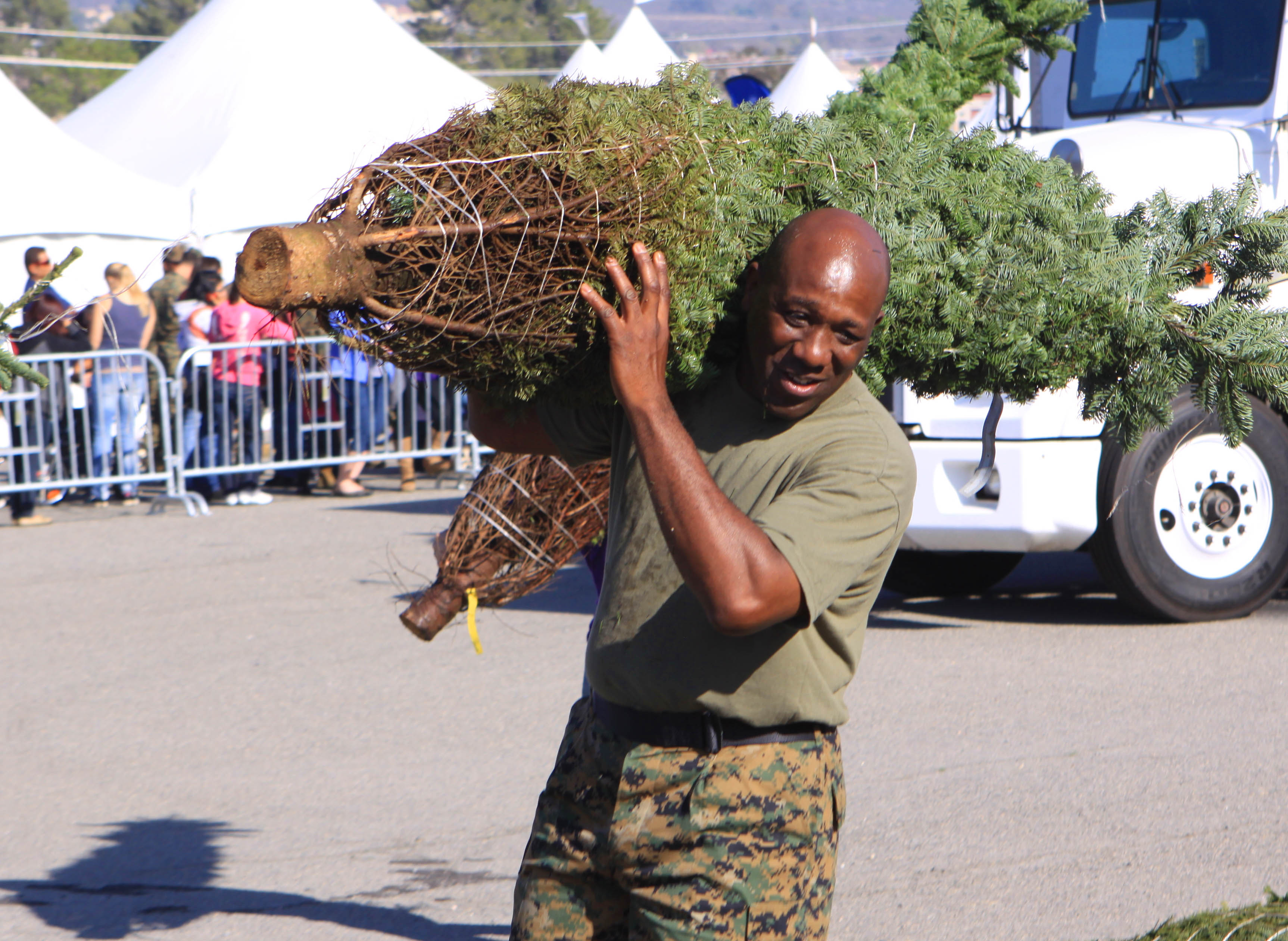 Trees for Troops on Pendleton