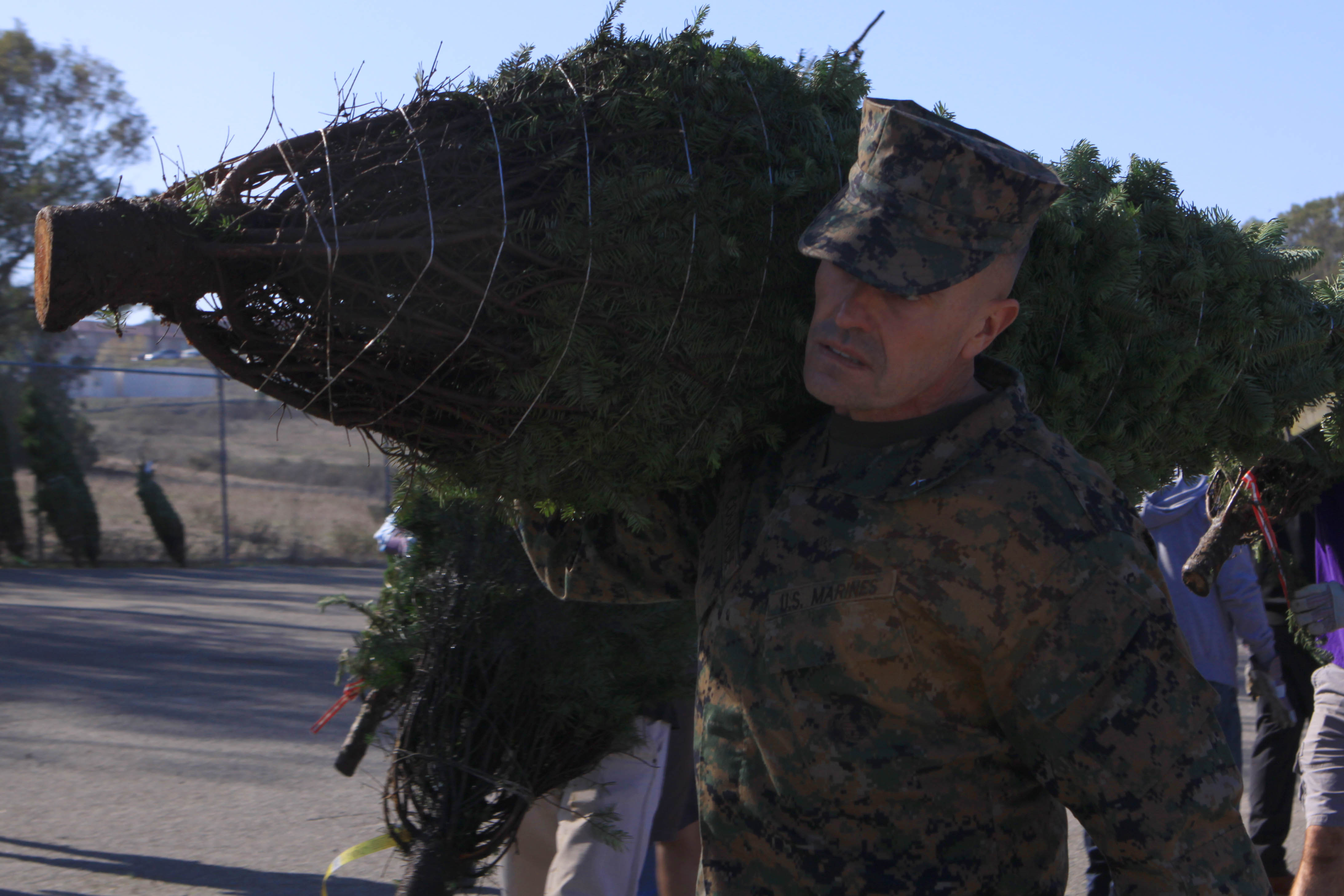 Trees for Troops on Pendleton