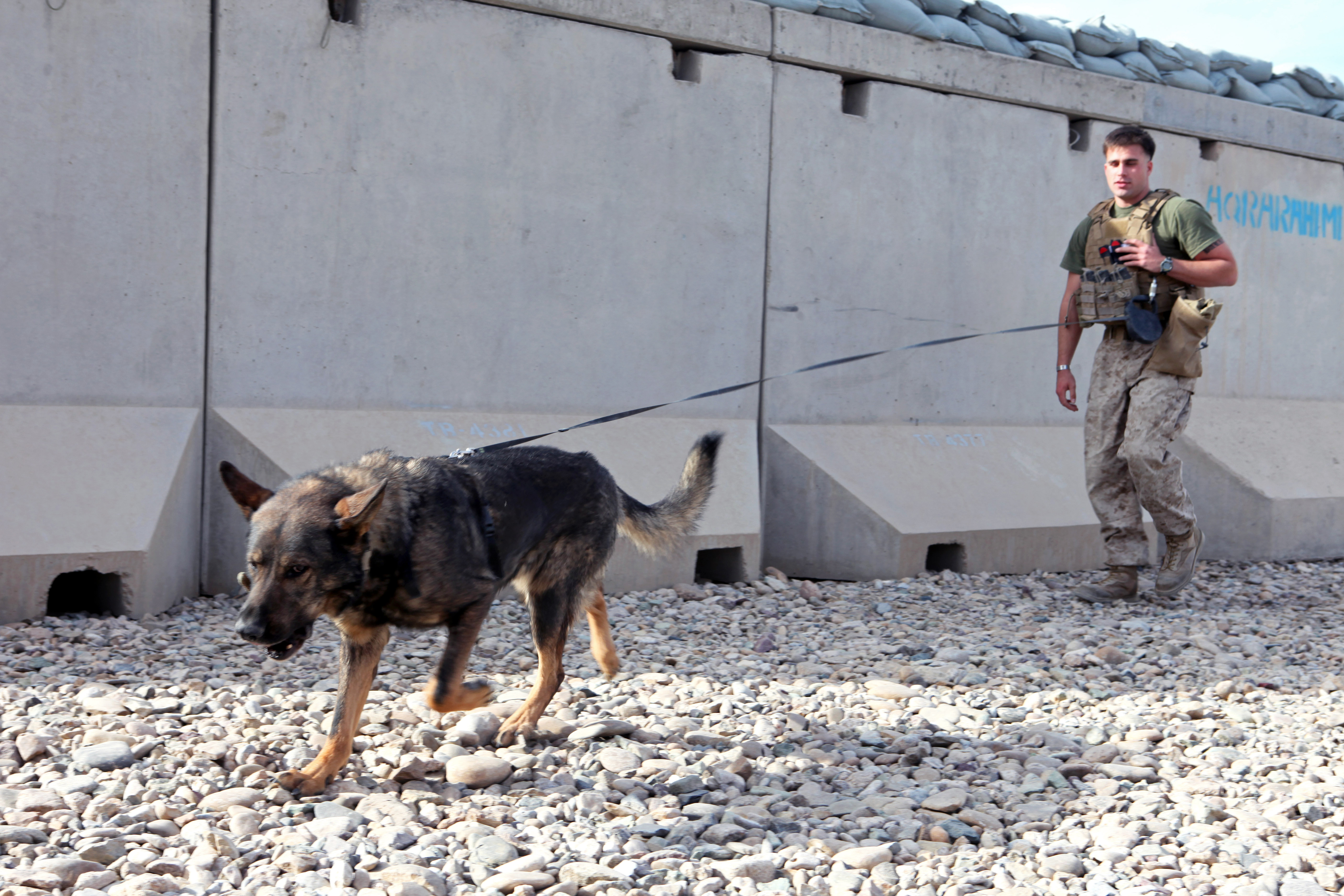 U.S. Marine Corps Lance Cpl. Cebastian J. Barrett and his patrol ...