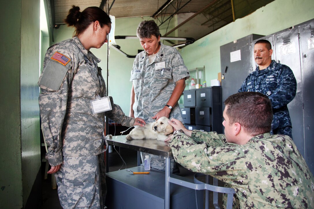 U.S. Air Force Lt. Col. Tammy Von Busch, center, U.S. Army Spc. Helen ...