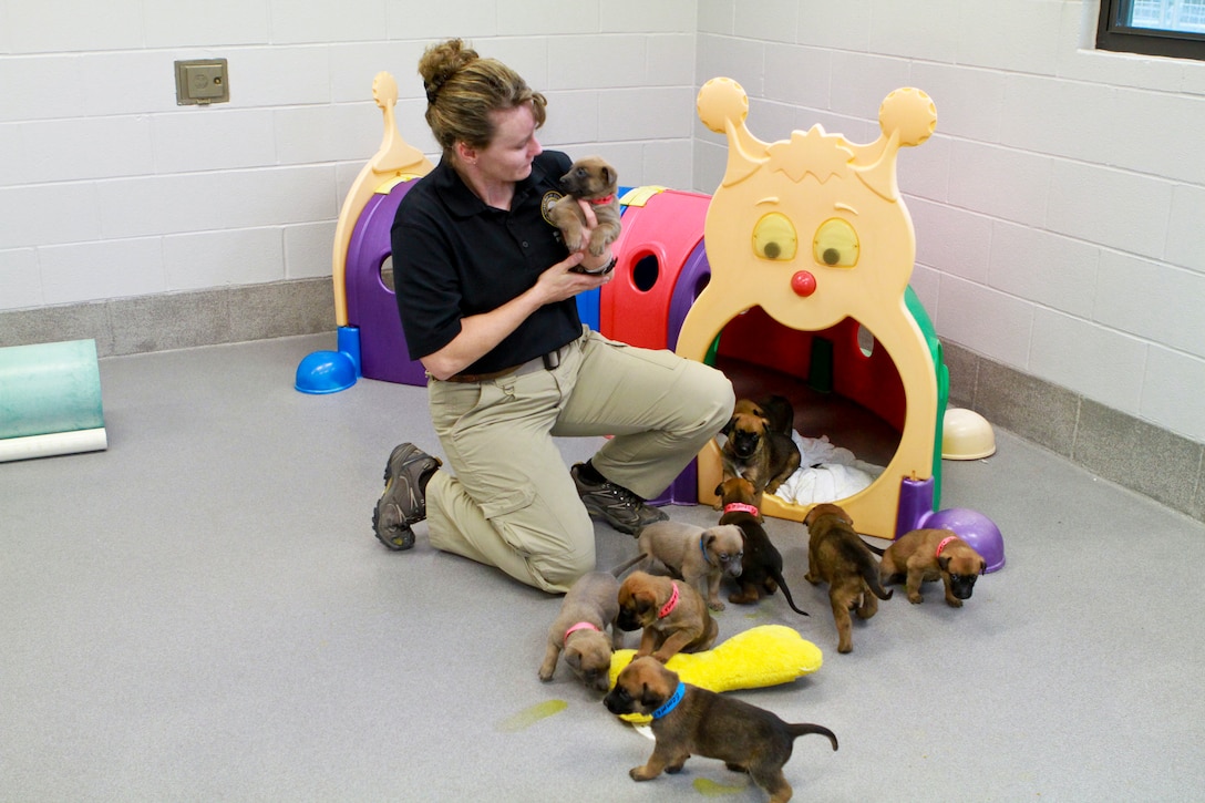 Bernadine Green, deputy director for the Defense Department's Military ...