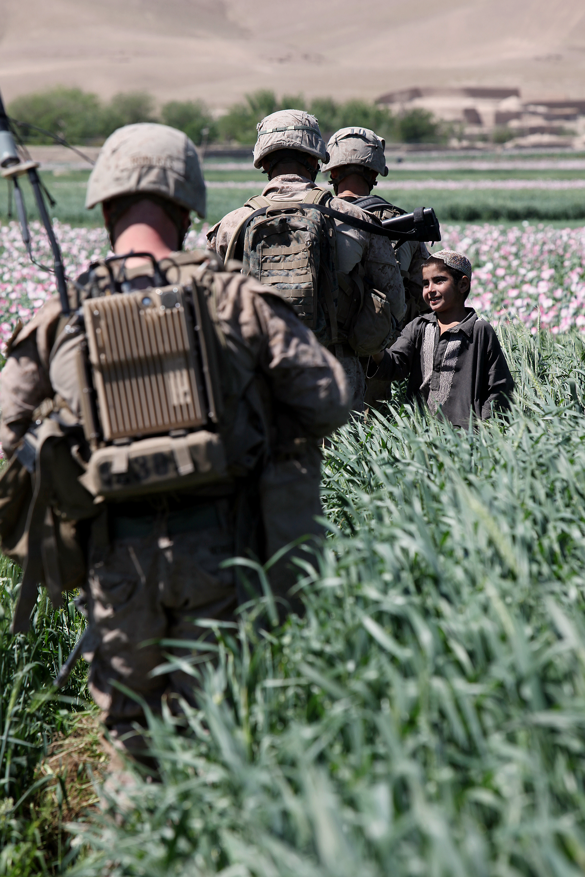 Marines with Battery B, 1st Battalion, 10th Marines, Regimental Combat ...