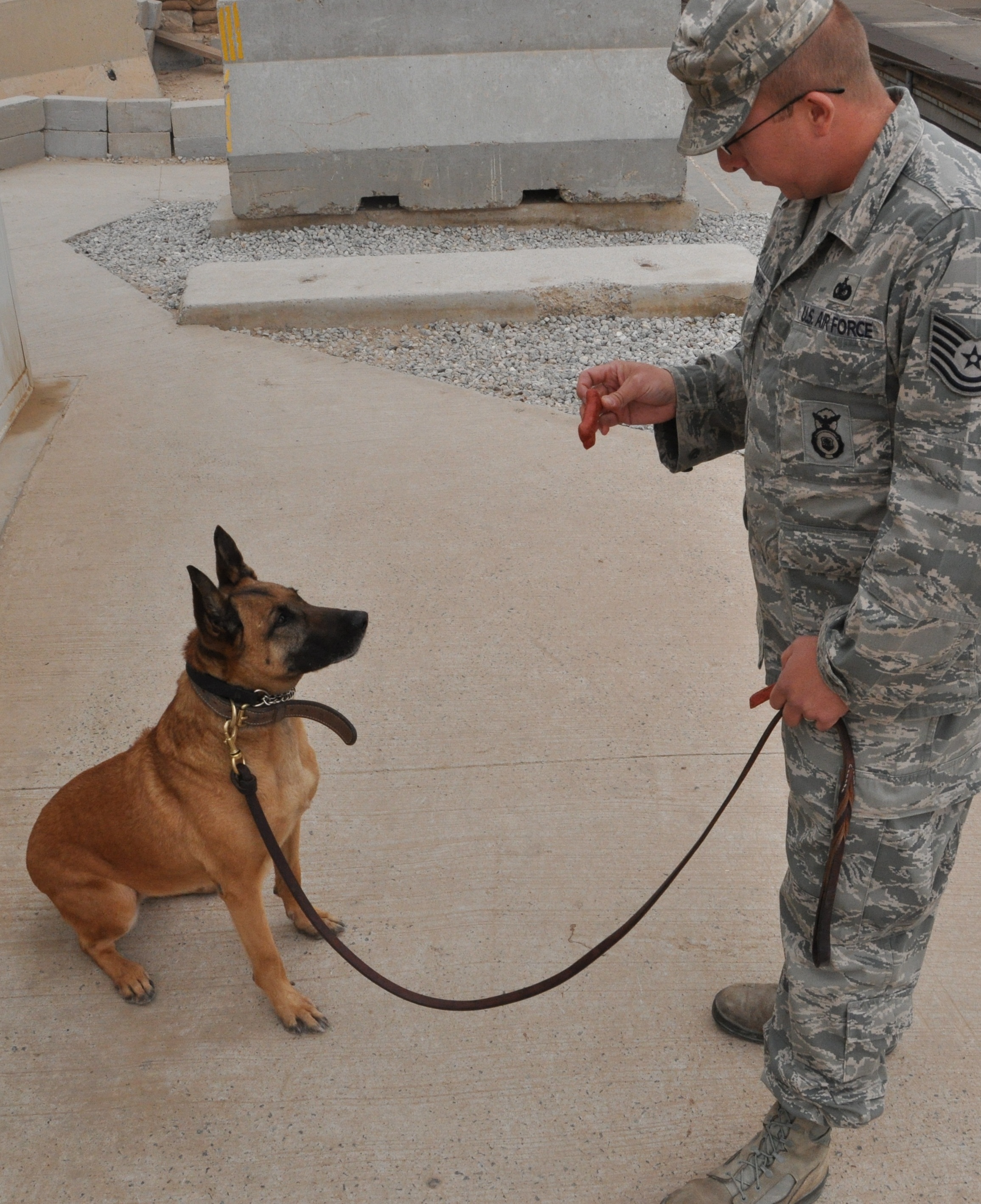 Experienced K9 helps keep 332nd AEW safe, secure > U.S. Air Forces ...