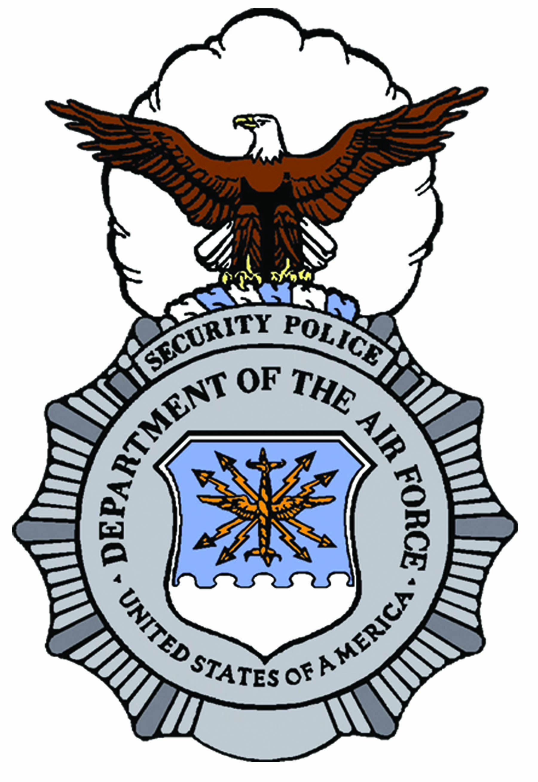 SFS badge emblem 6x8 300dpi