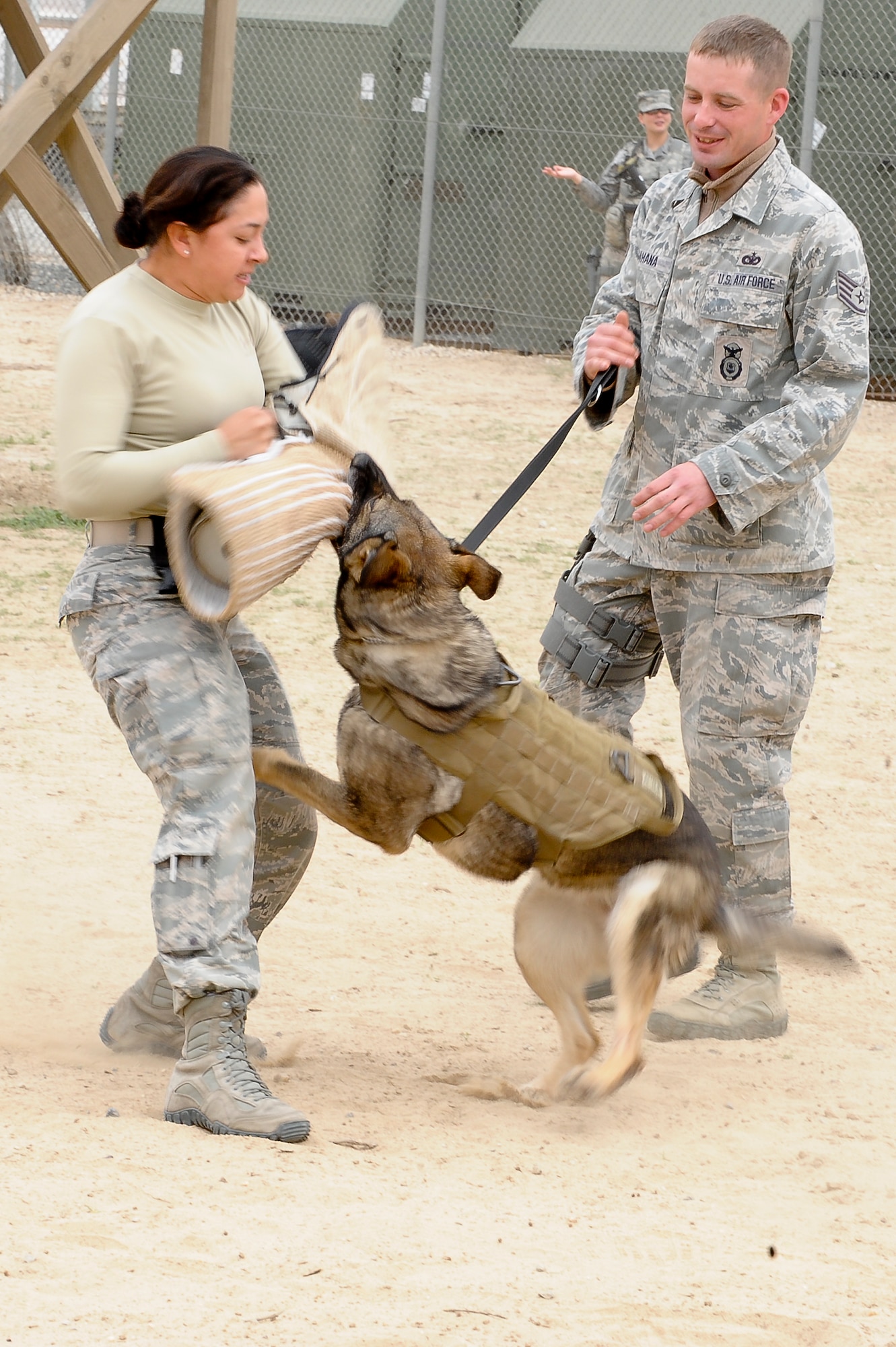 332nd ESFS members receive MWD training > U.S. Air Forces Central > News