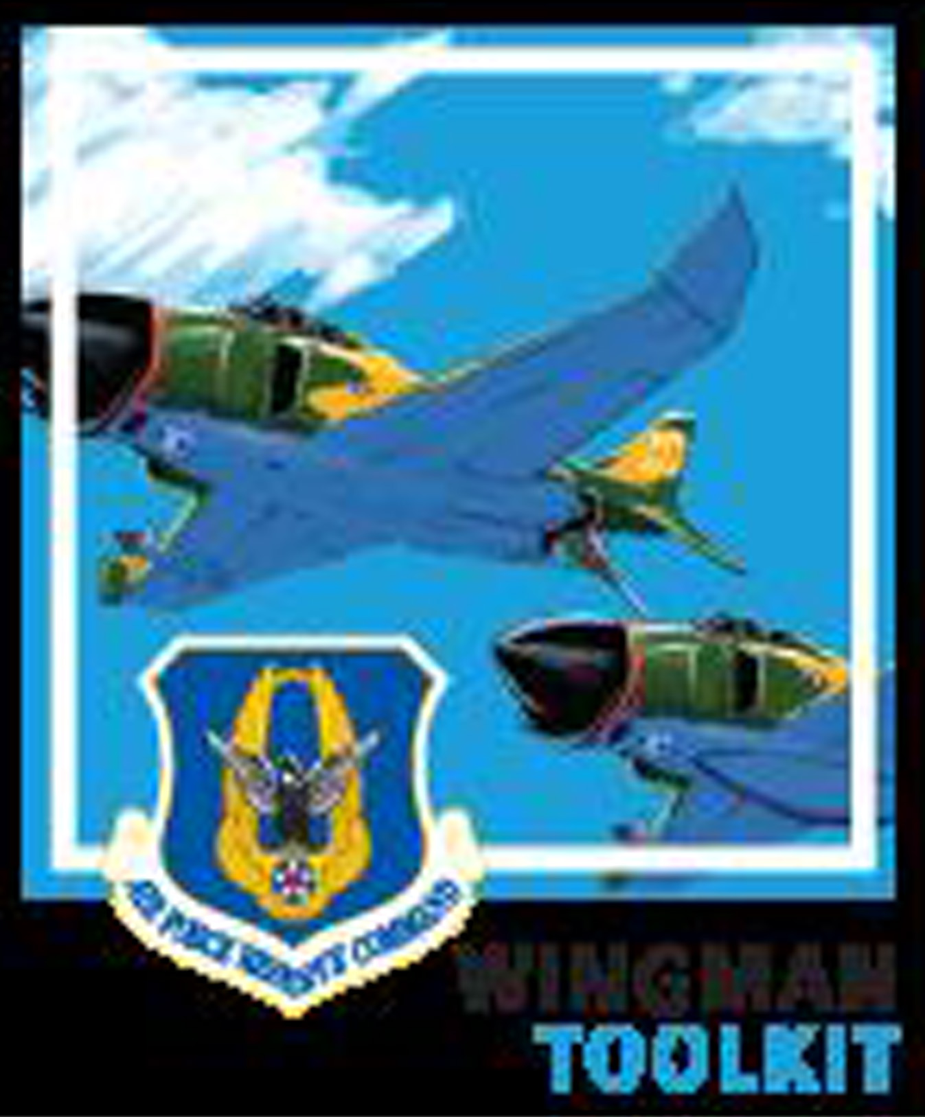 2012 Wingman Day