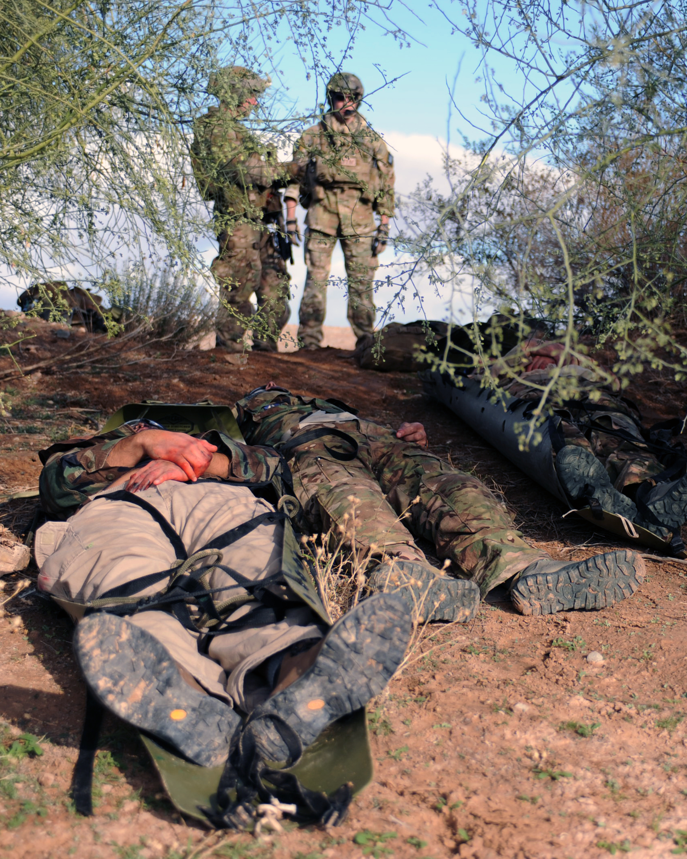 Operation Shocker 2011 > Davis-Monthan Air Force Base > Article View