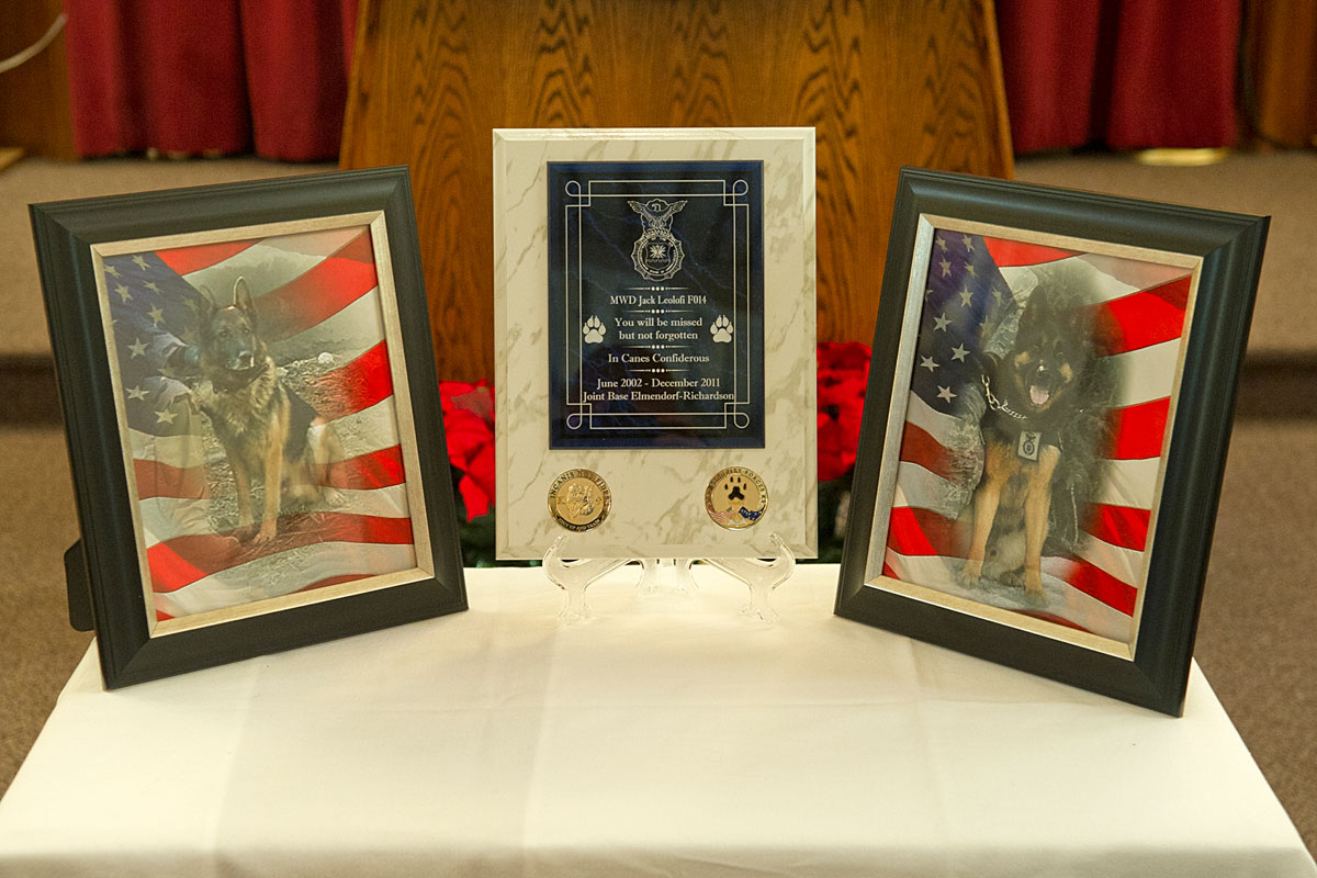 Fallen military working dogs receive a somber send-off