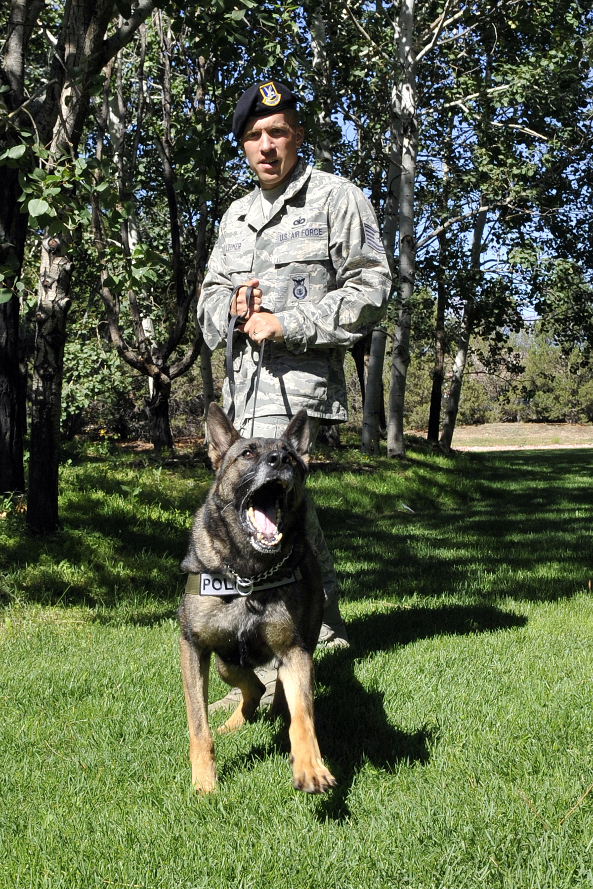 Security Forces: Going beyond the gate guard > Peterson and Schriever ...