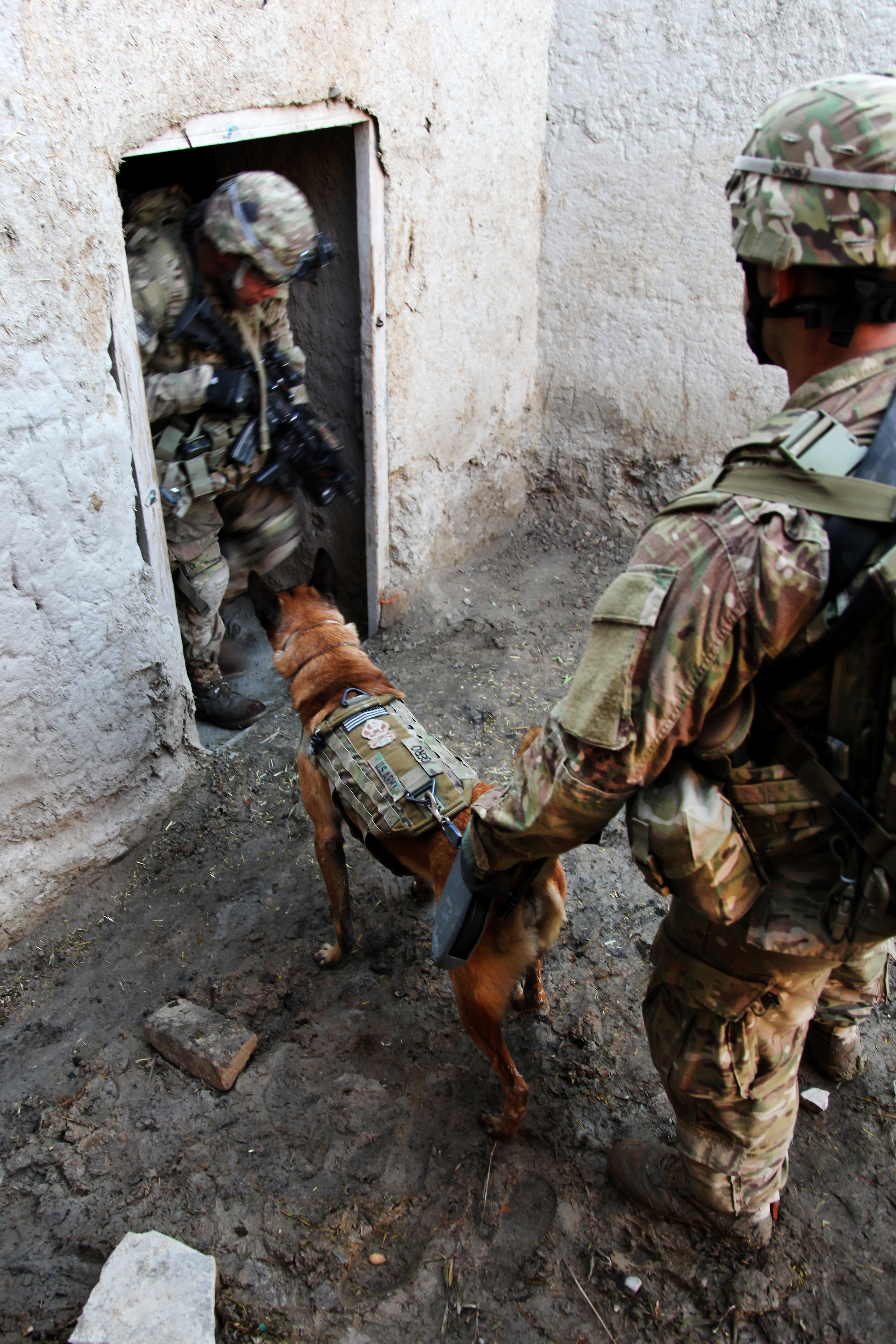U.S. Army Sgt. Timothy Conley, right, and his military dog, Gero ...