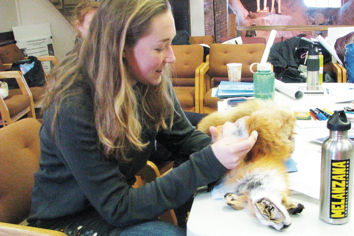 Course helps JBER get WILD about Alaska ecosystem > Joint Base ...