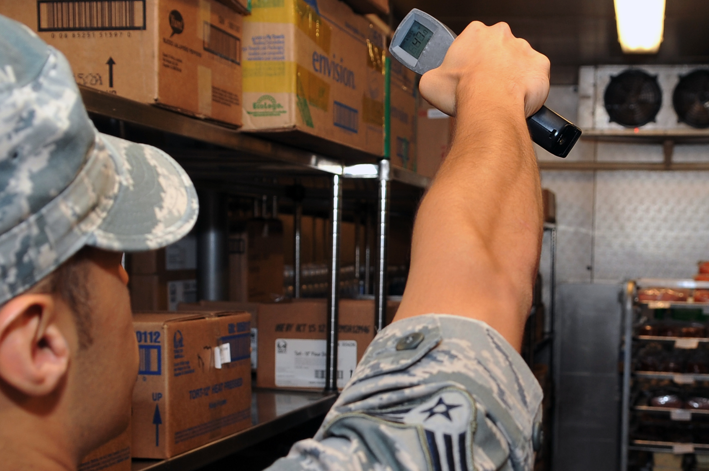 Osan's food inspectors keep Mustangs healthy > Osan Air Base > Article ...