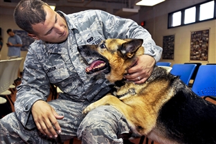 WORKING DOG PLAY | U.S. Department of War