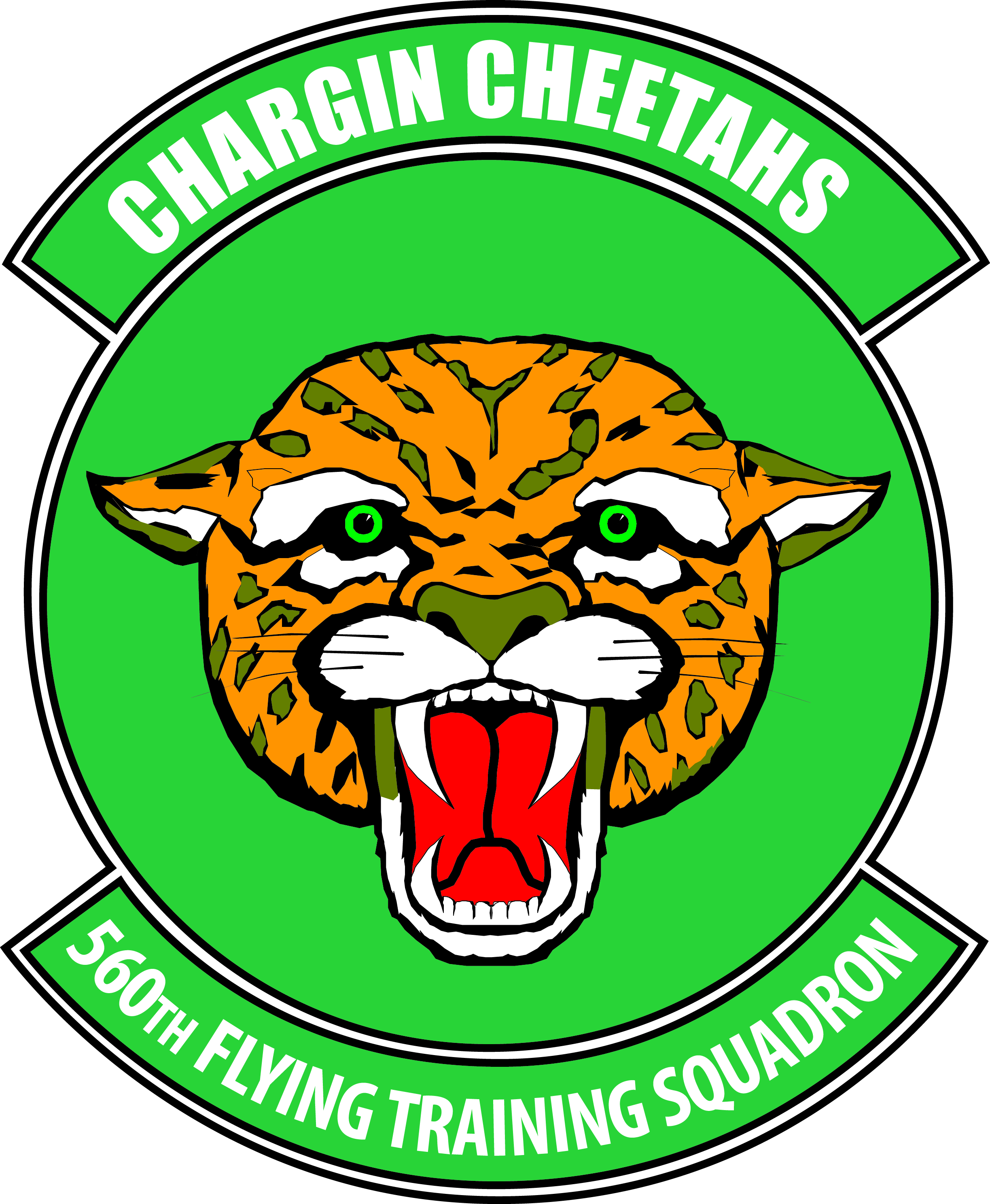 560th Flying Training Squadron Chargin Cheetahs
