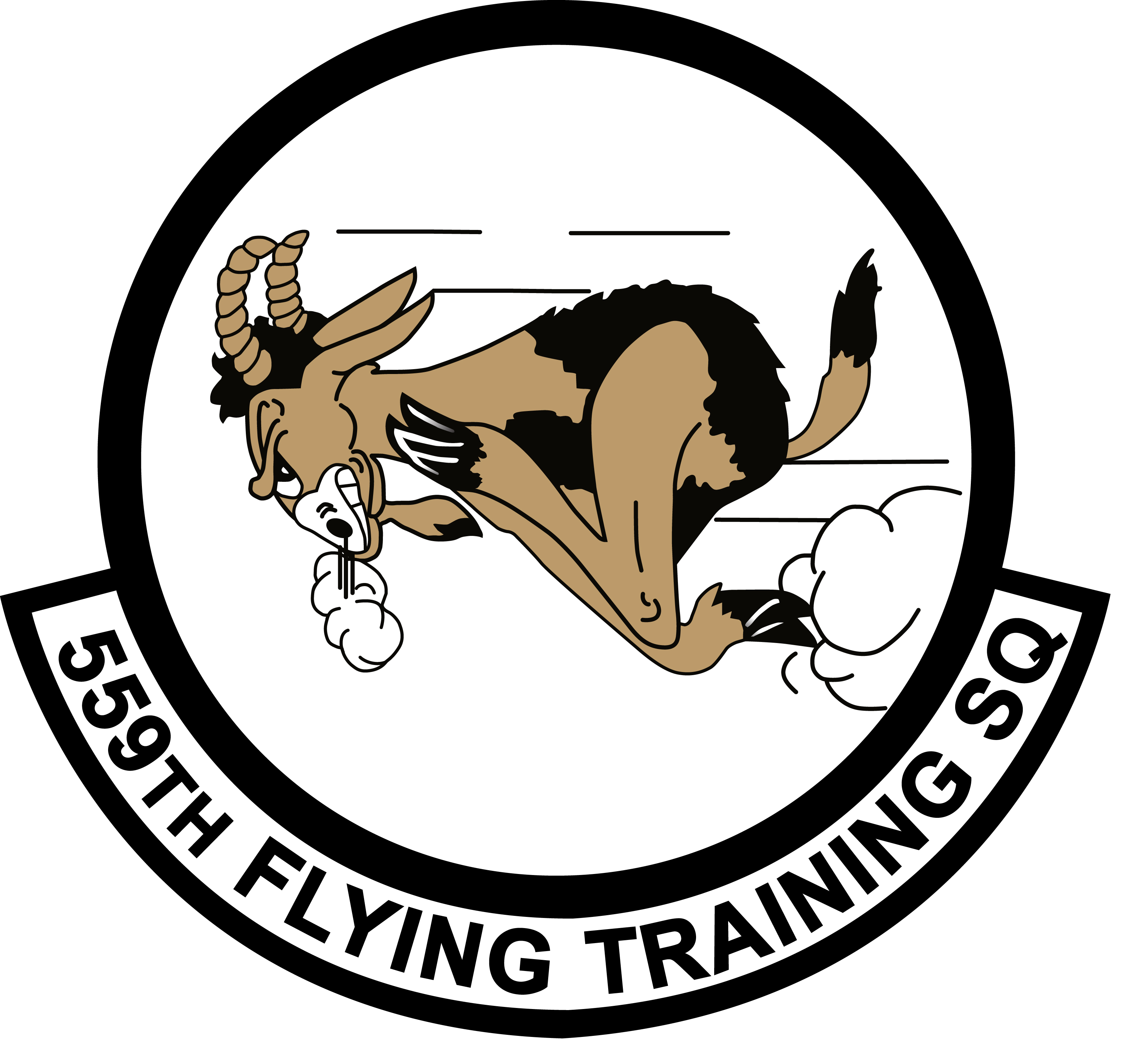 559th Flying Training Squadron