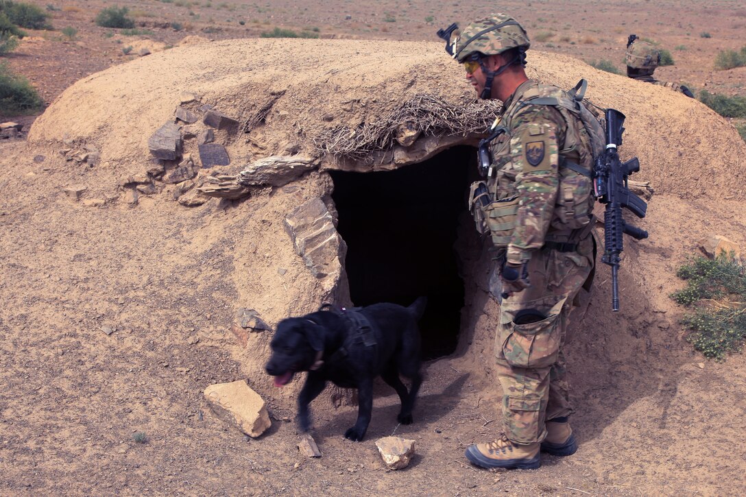 A U.S. Air Force Senior Airman and his military working dog, Pepe ...
