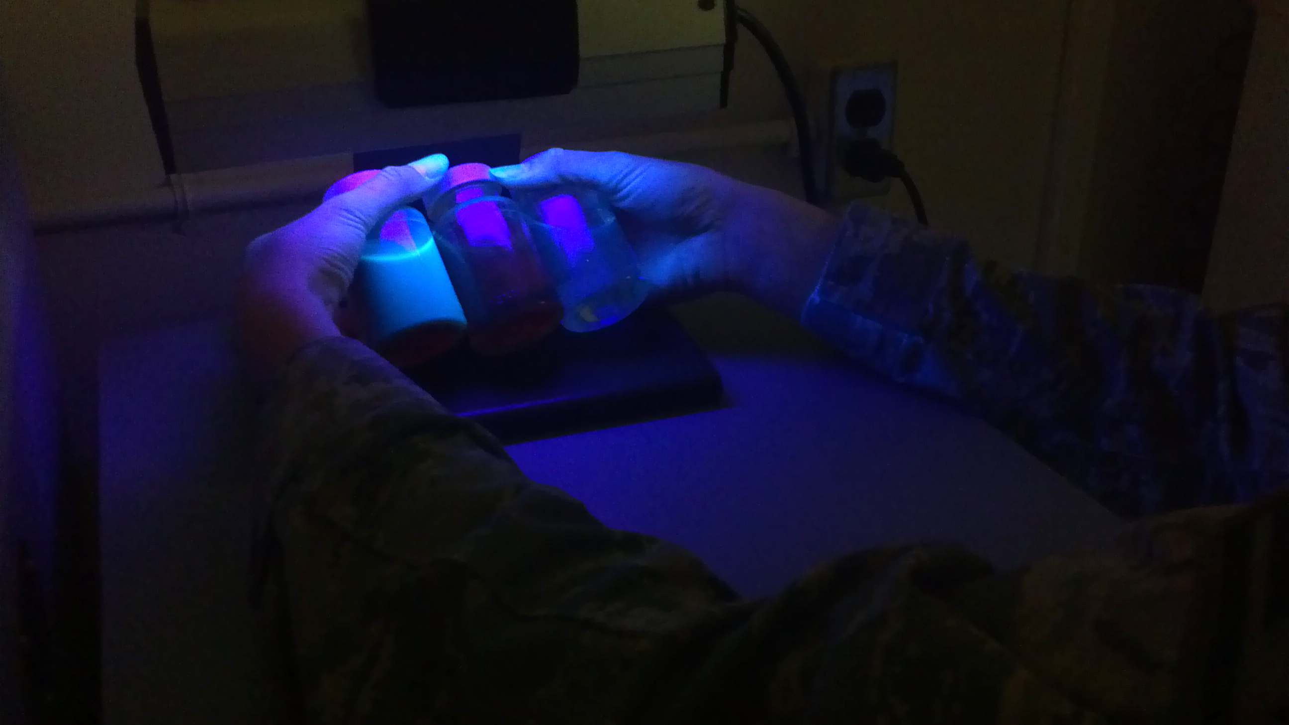 Bioenvironmental Engineering and your health > Kunsan Air Base > Kunsan ...