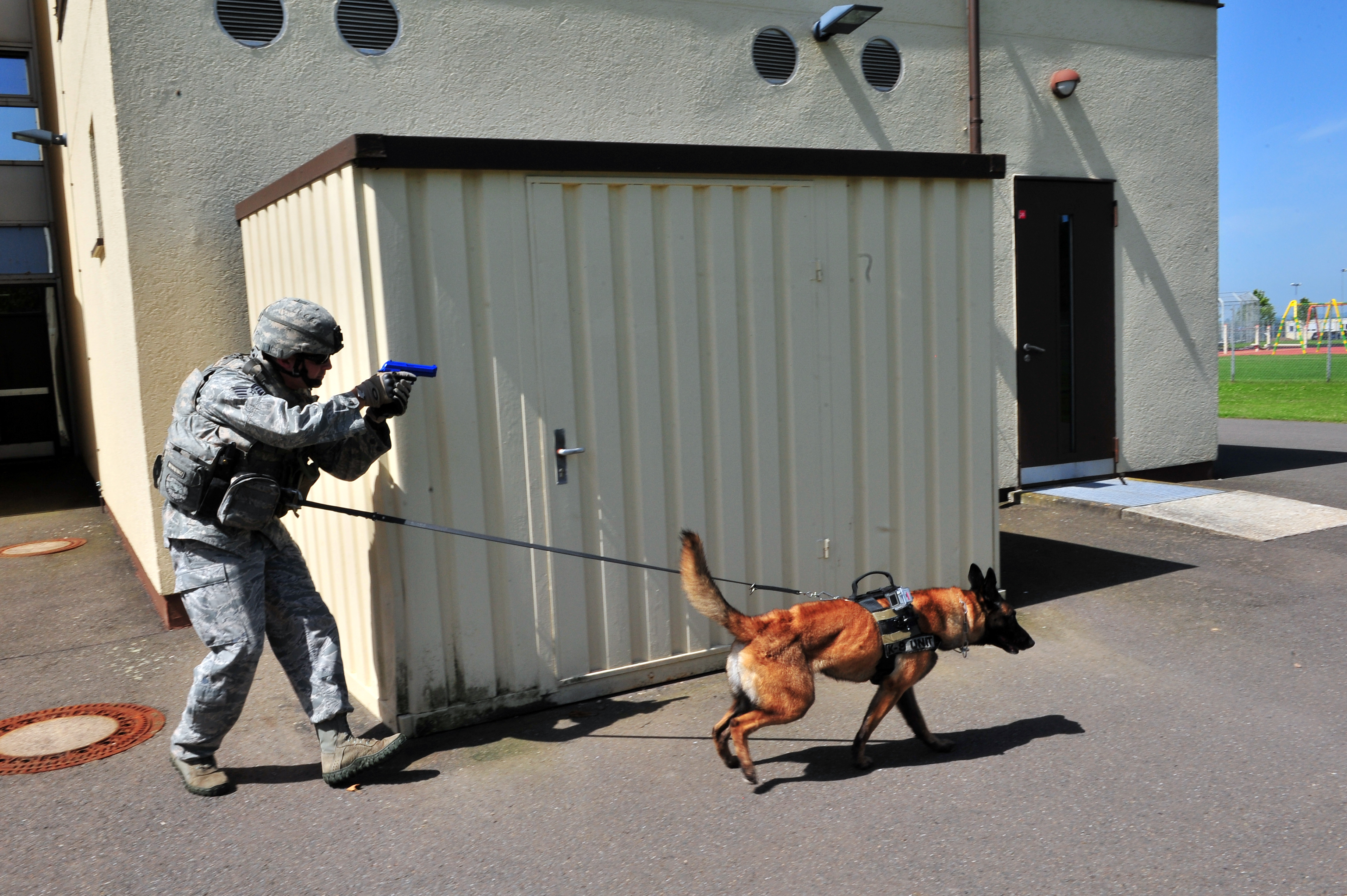 Does Amtrak Have Drug Sniffing Dogs