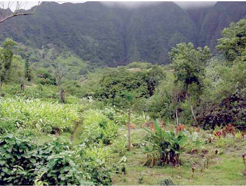 Former Heeia Combat Training Area (CTA) and Former Pali Training Camp (TC)