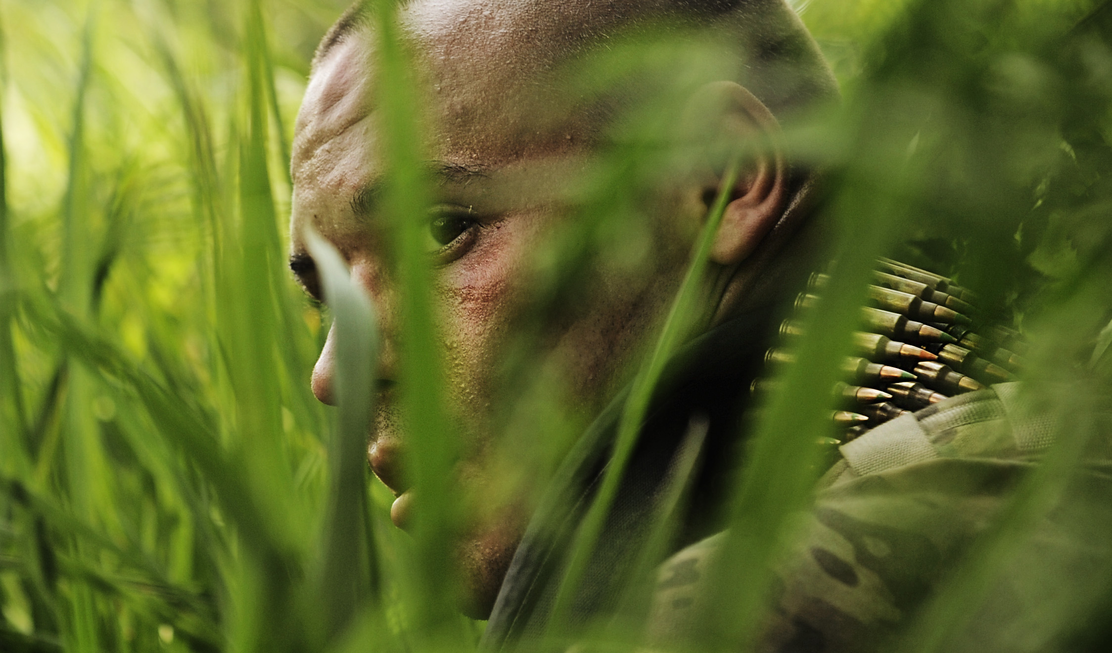 Top Shot: Scott photographer named Air Force's best > Scott Air Force ...