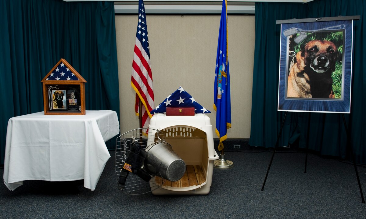 Fallen military working dog laid to rest > Dyess Air Force Base > News