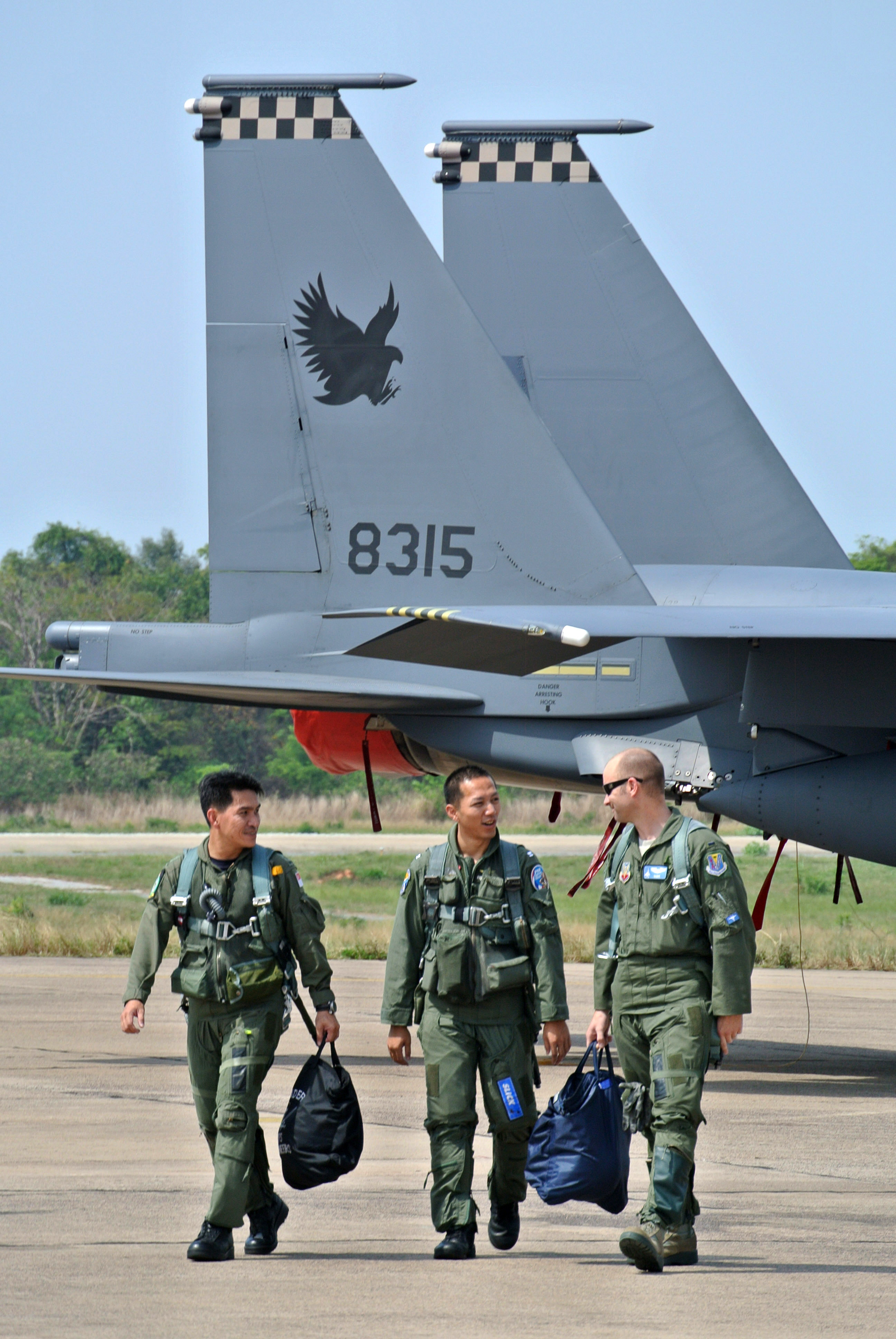 Cope Tiger trilateral exercise in full swing > Air Force > Article Display