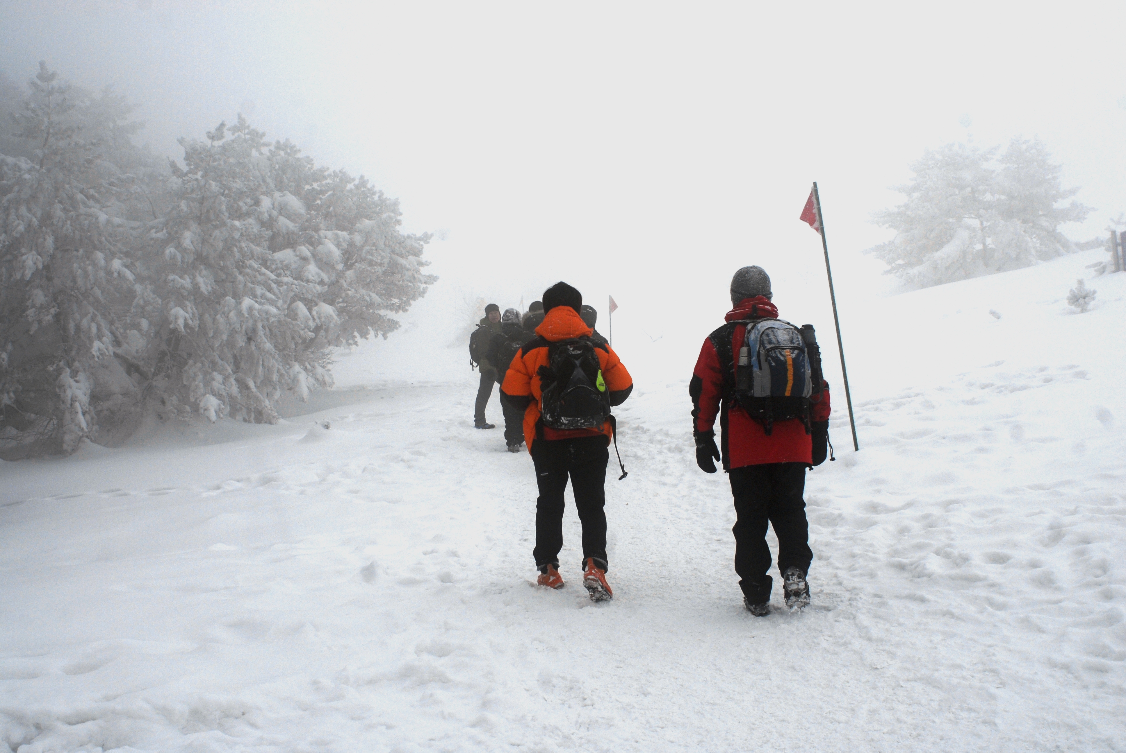 National Parks of Korea: Jeju in winter > Osan Air Base > Article Display