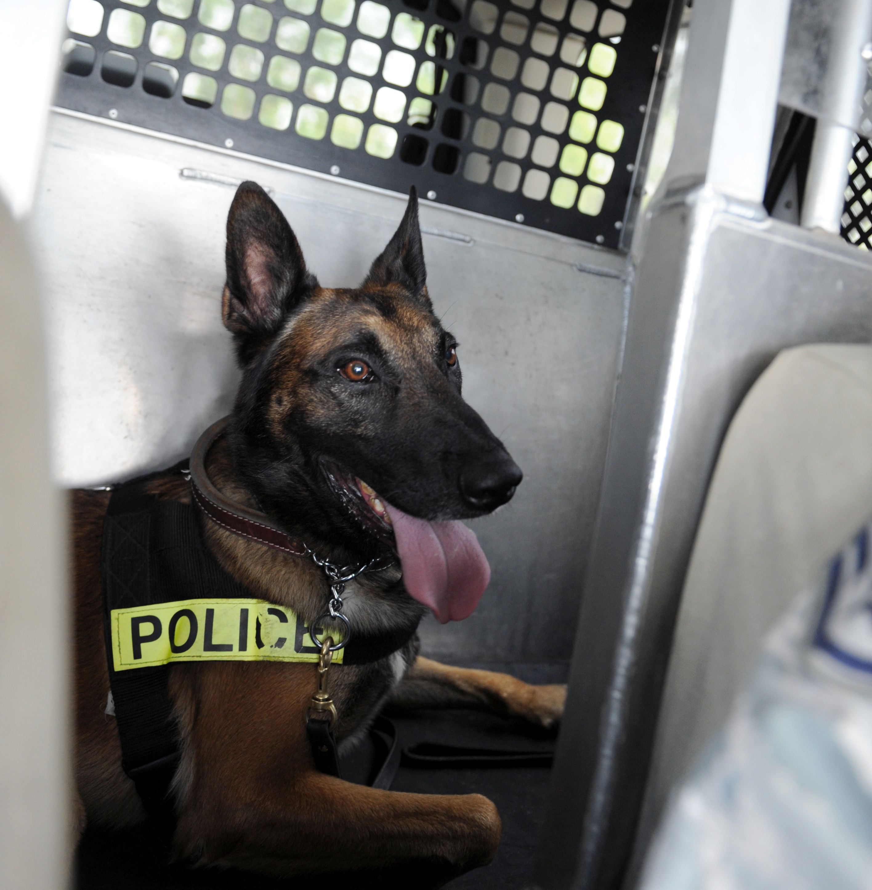 The Military Working Dog mission > Barksdale Air Force Base > Display