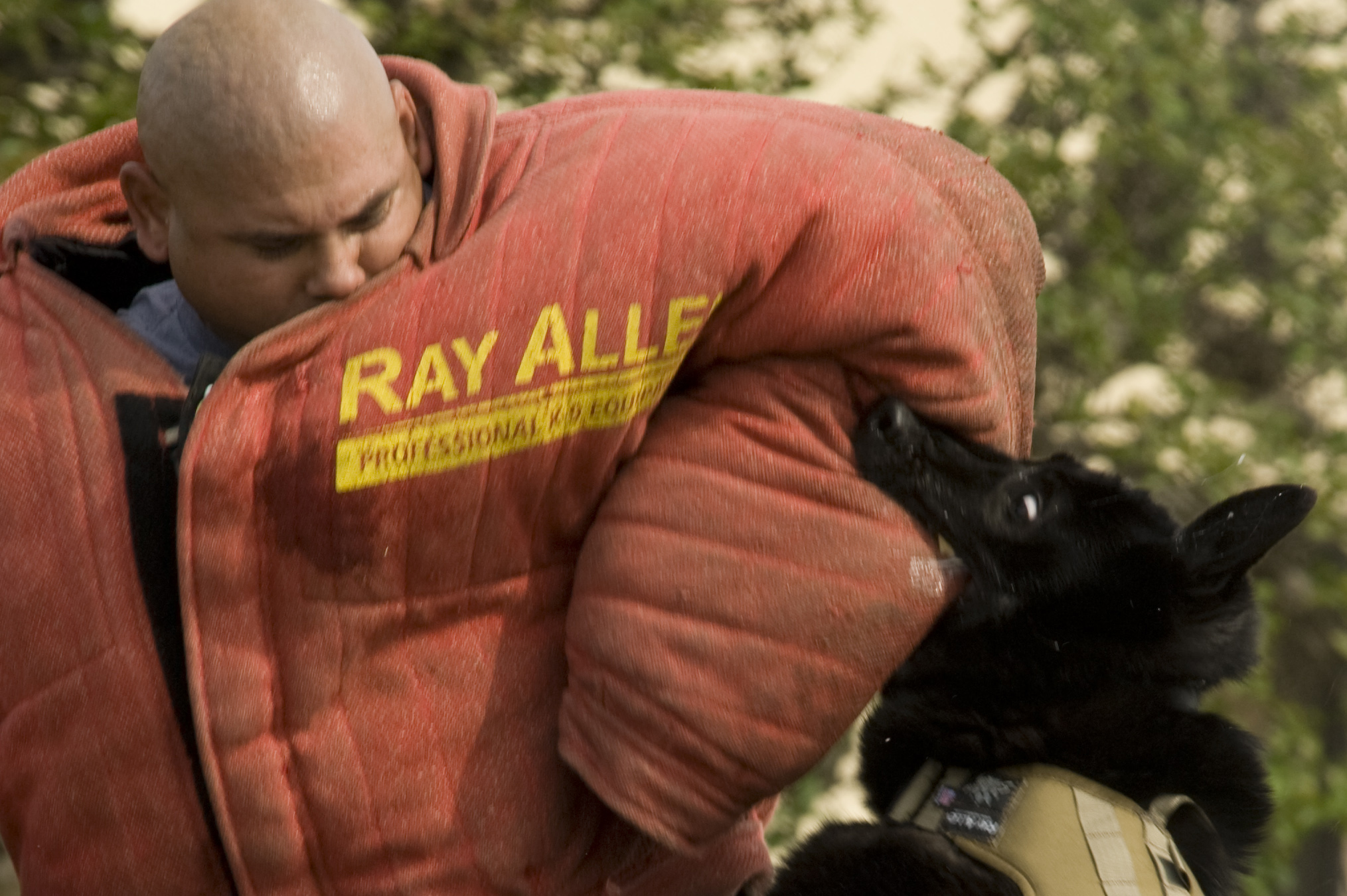 DoD Military Working Dog handlers come together for joint competition ...