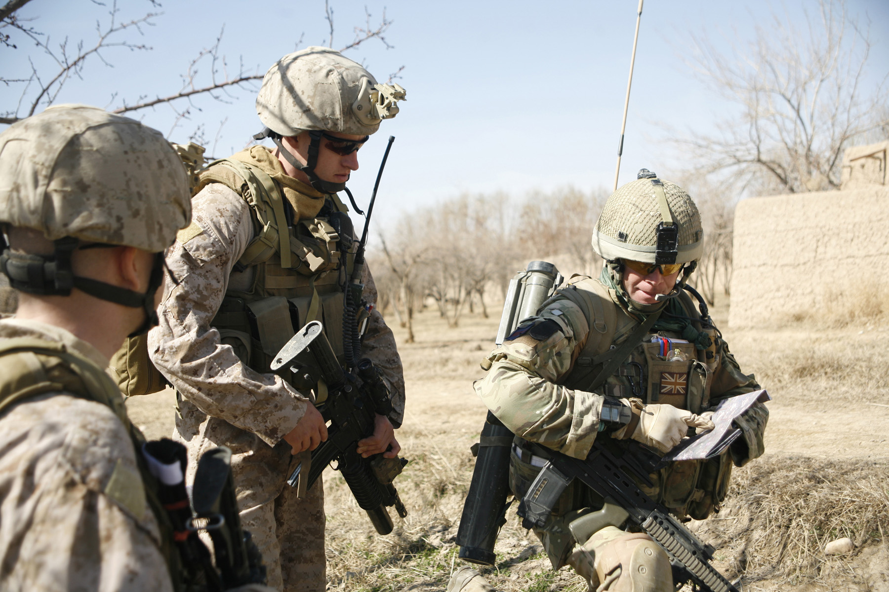 ANGLICO Brings Unique Skills to Battlefield