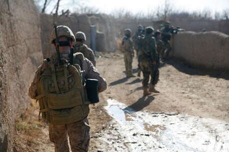 II Marine Expeditionary Force > Units > 2nd ANGLICO