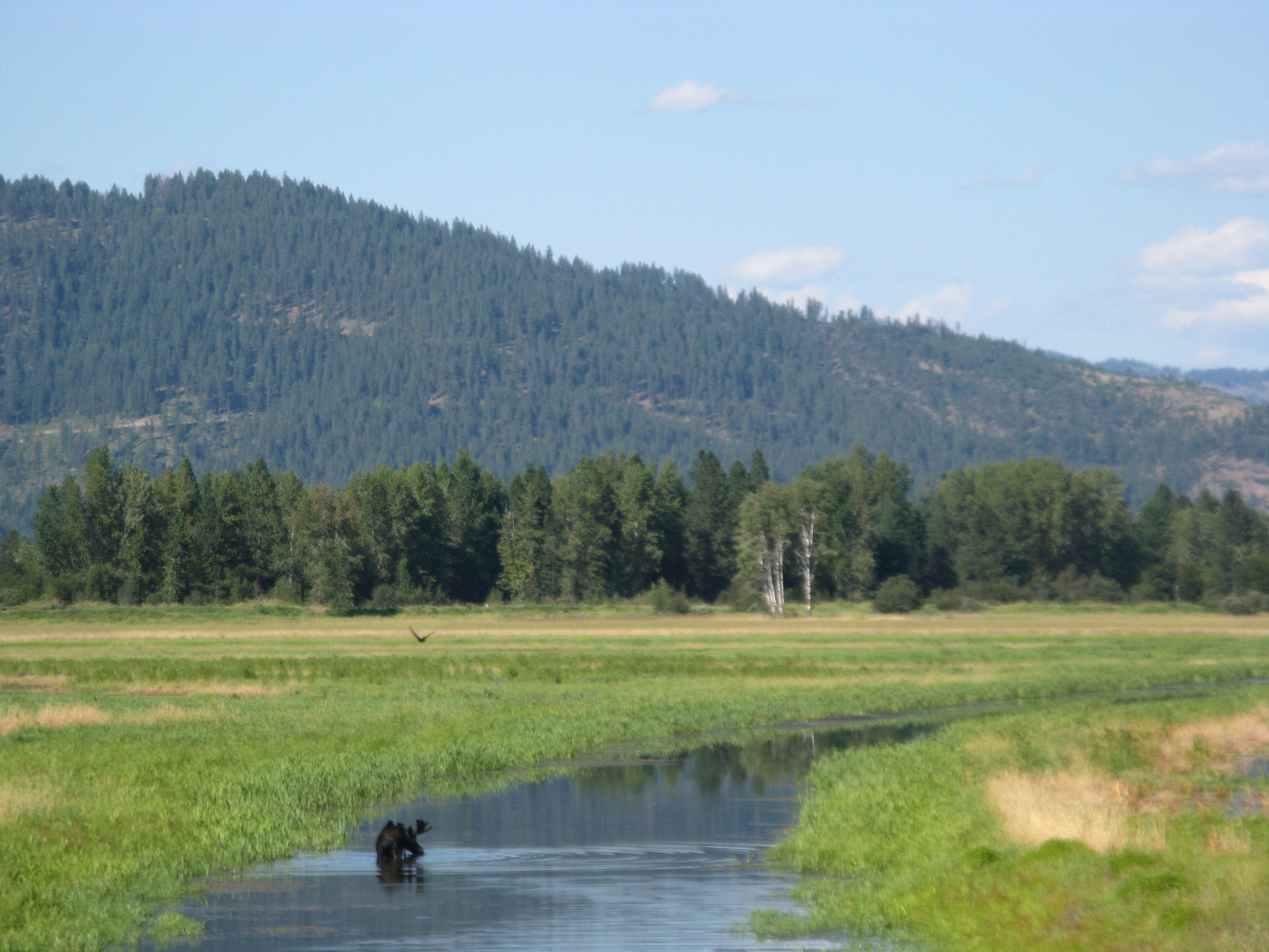 Transforming agricultural lands into wetlands > Northwestern Division ...