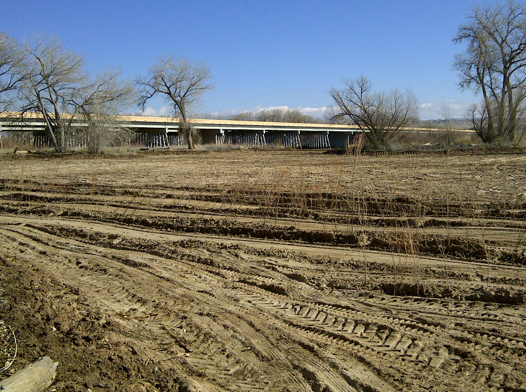 Middle Rio Grande Ecosystem Restoration Project, New Mexico ...
