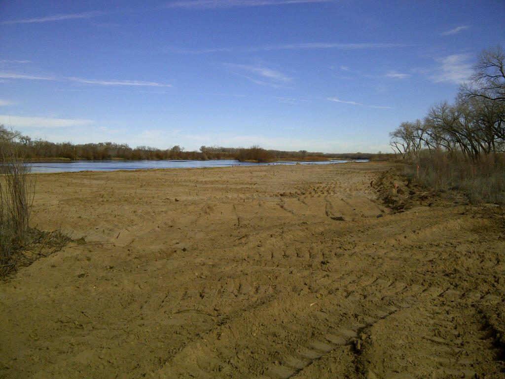Middle Rio Grande Ecosystem Restoration Project, New Mexico ...