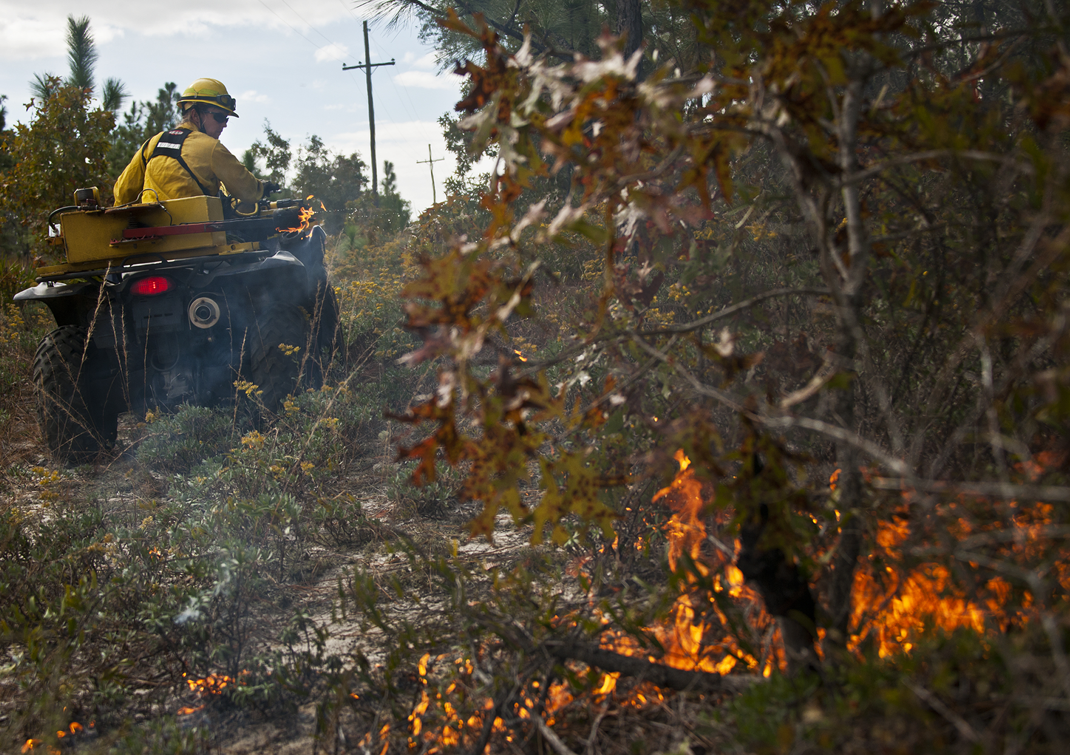 Eglin's controlled burns advance fire research > Air Force Civil ...