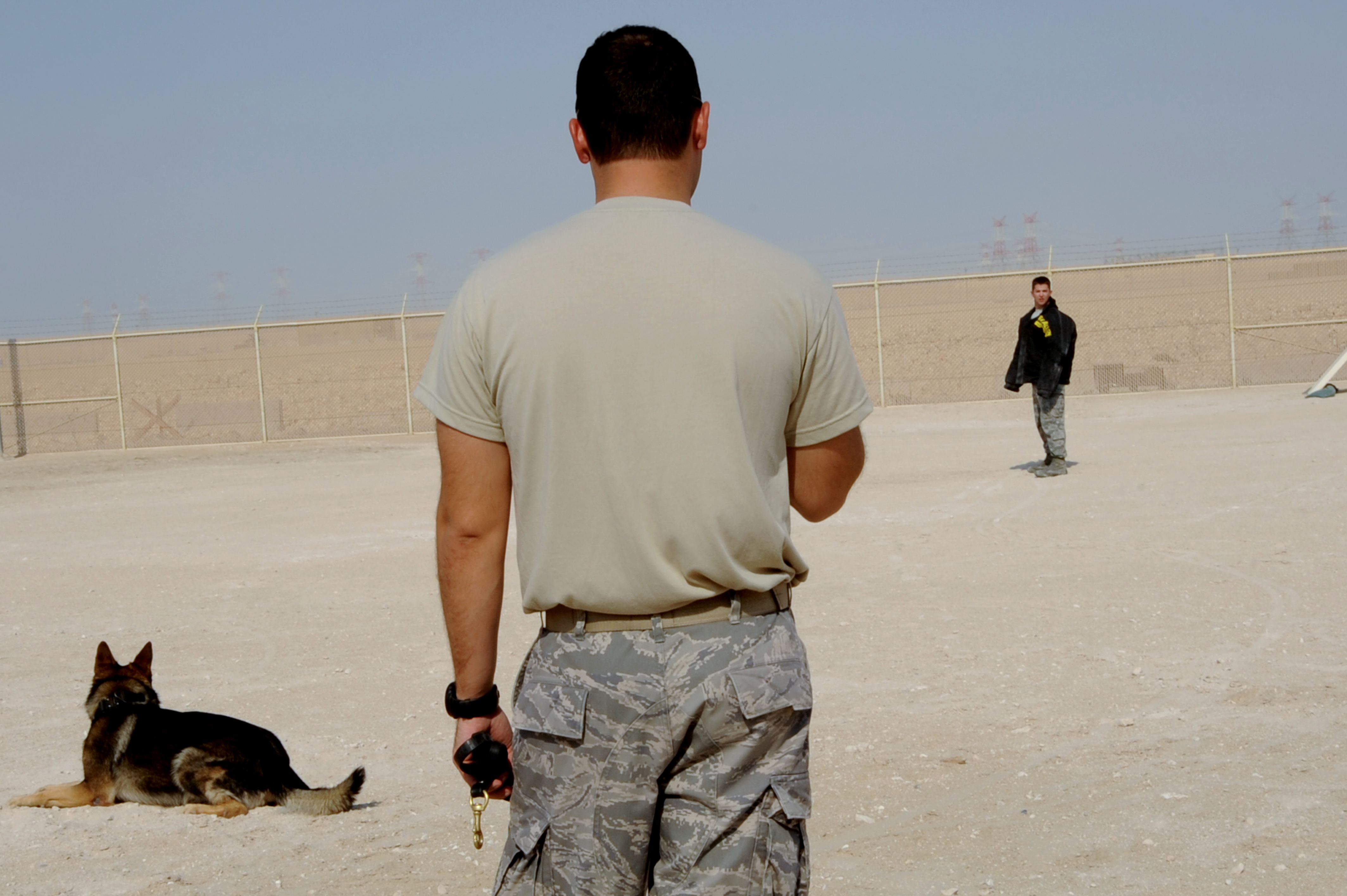 K-9s keep skills sharp > U.S. Air Forces Central > News