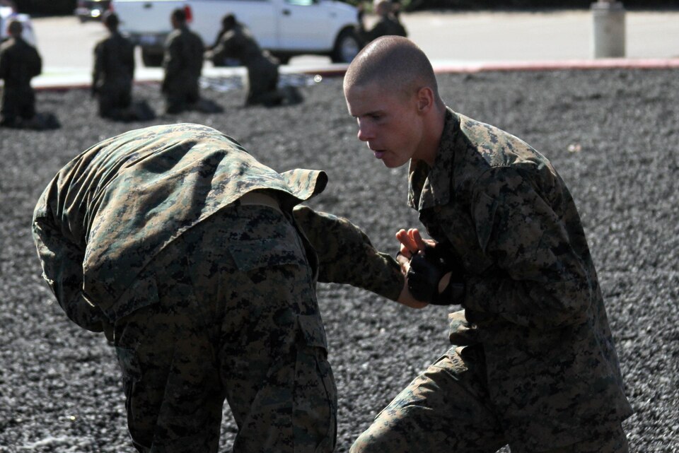 Testing Out: Recruits of Co. C earn tan belt > United States Marine ...