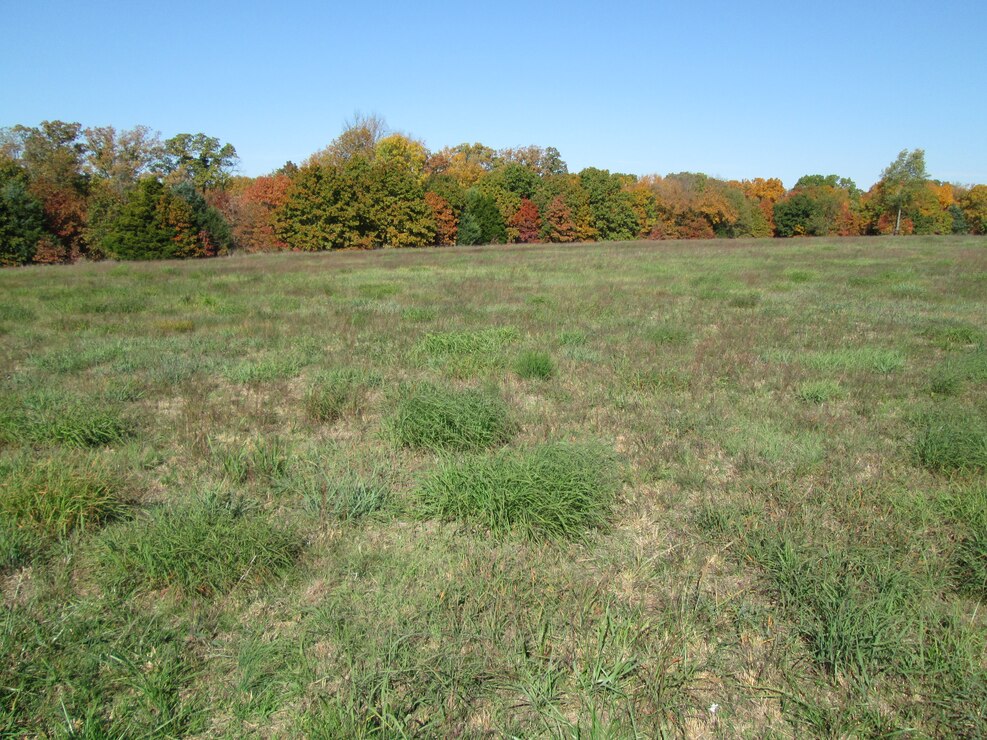 Kansas City District – Stockton Lake