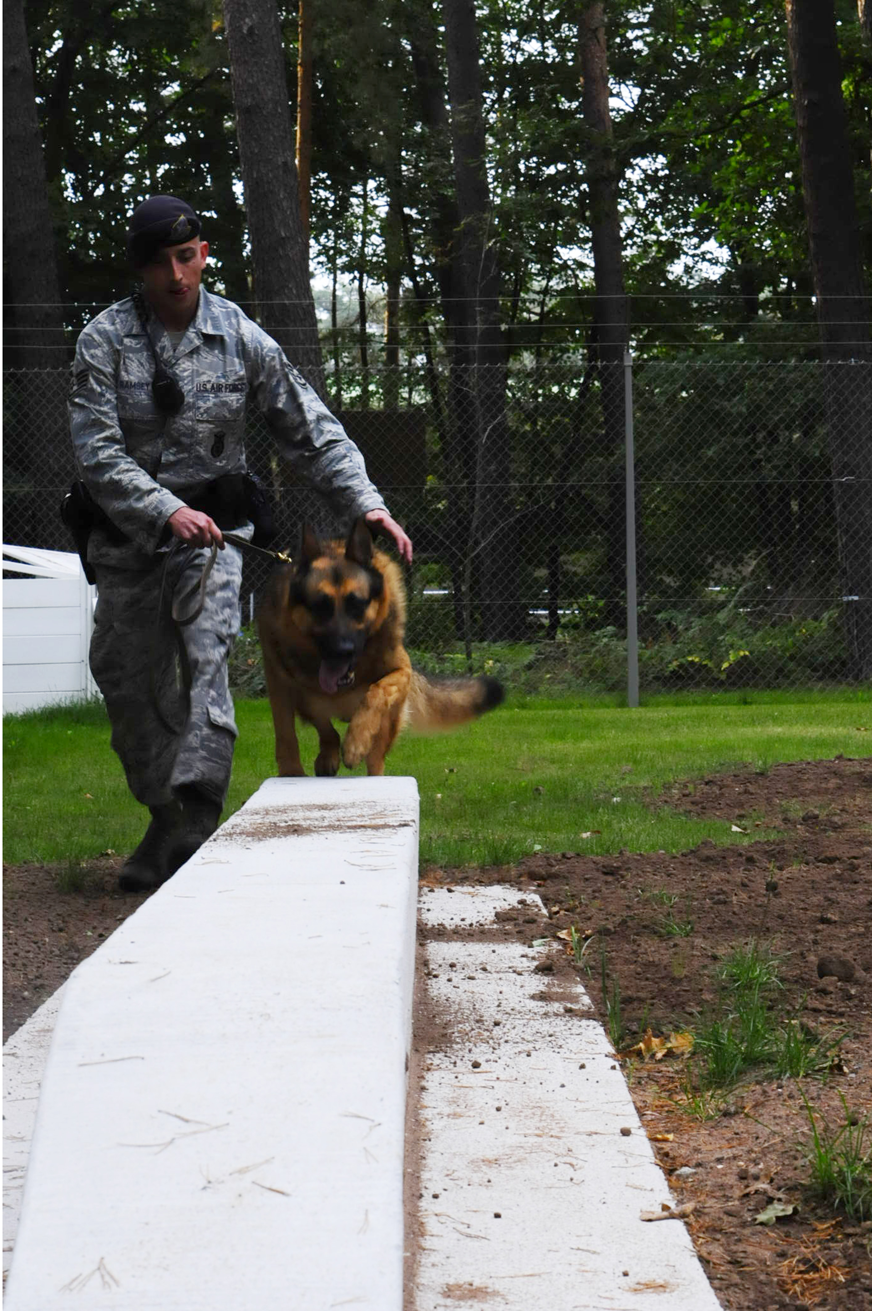 K-9 Obstacle Course