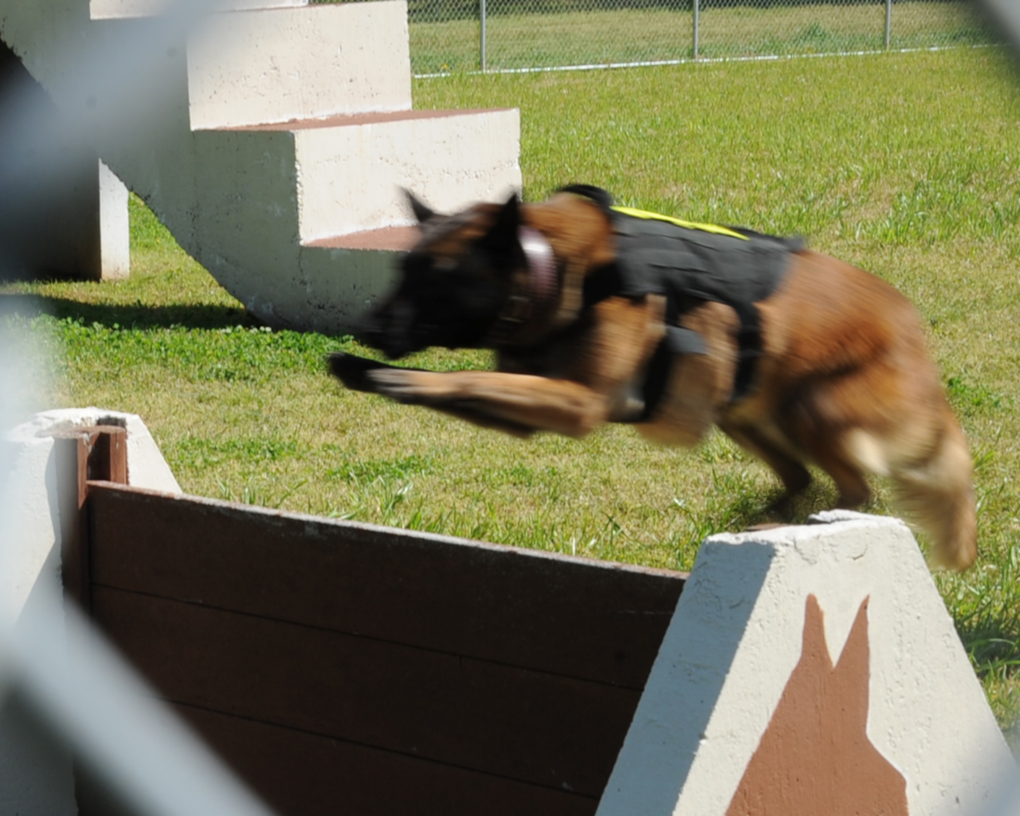 MWD's constantly train to sharpen skills > Barksdale Air Force Base ...