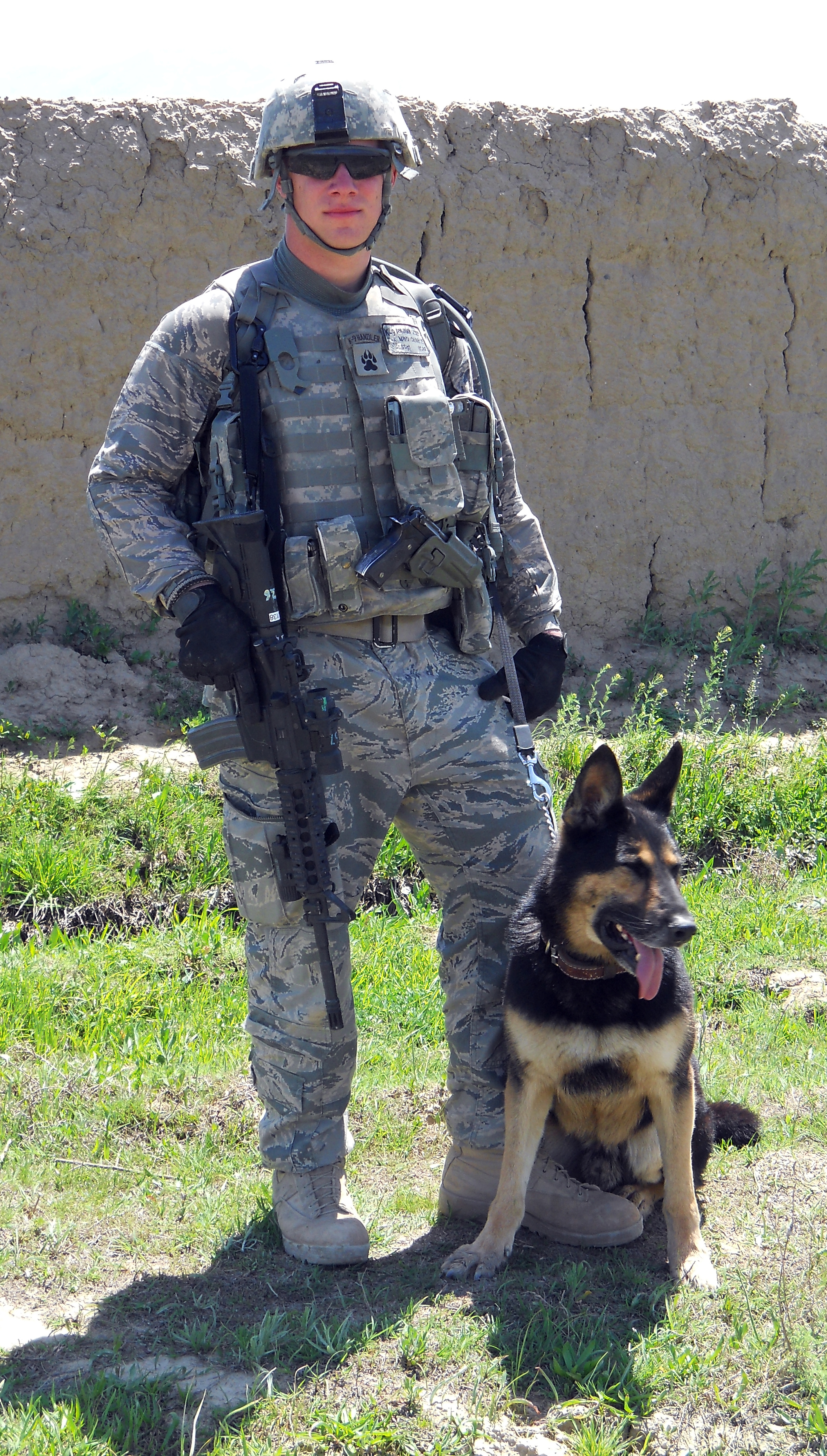 A Brave Dog's Last Deployment > U.S. Air Forces Central > News