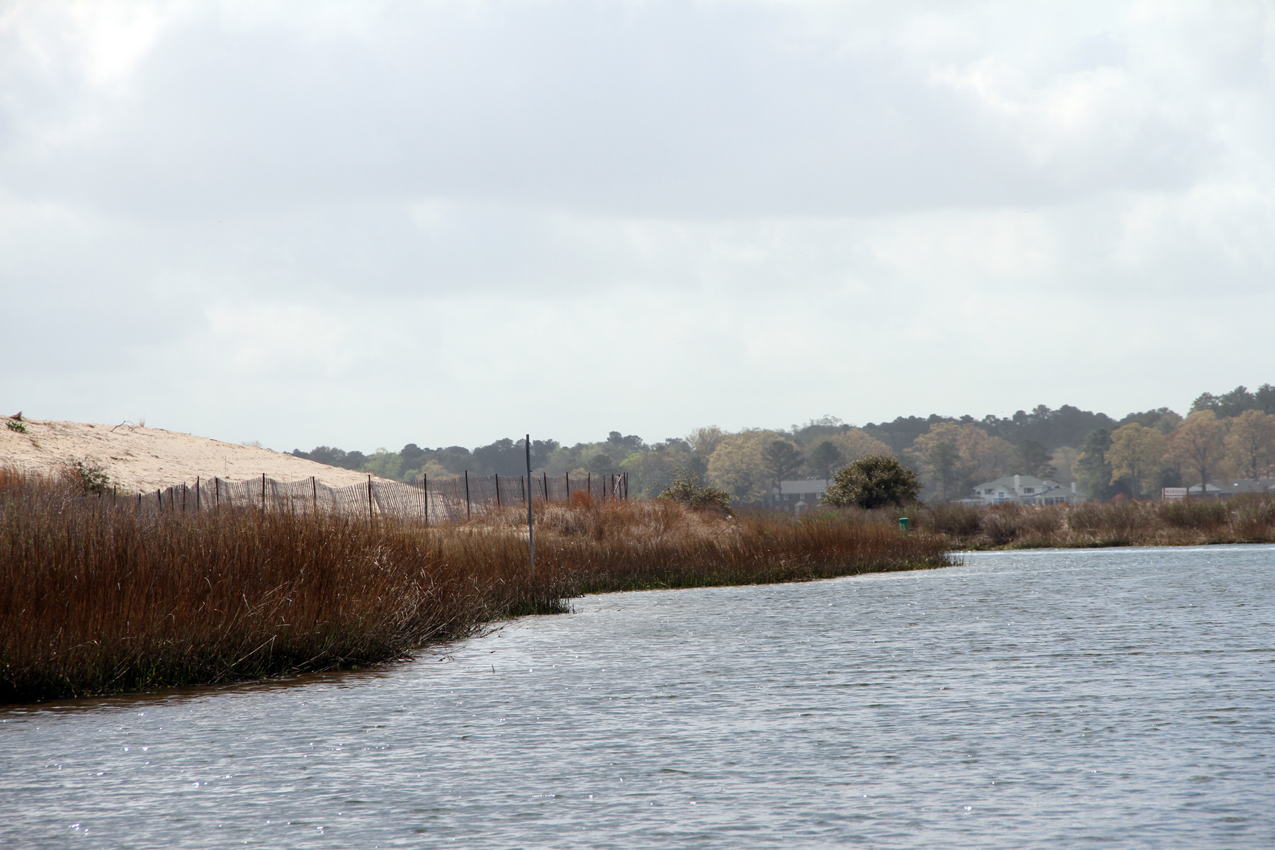 Lynnhaven River basin ecosystem restoration study