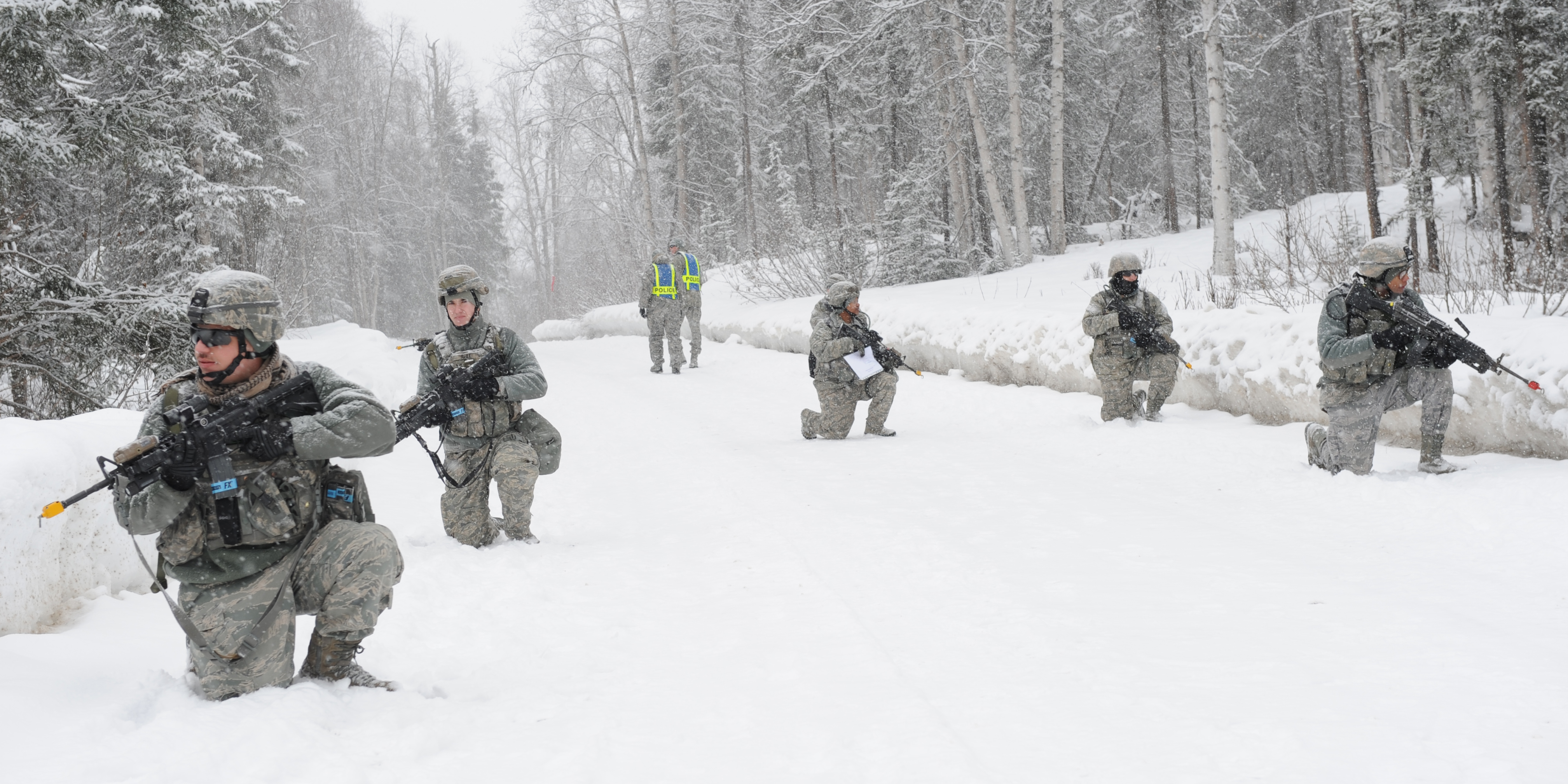 Polar Force 13-3 > Pacific Air Forces > Article Display