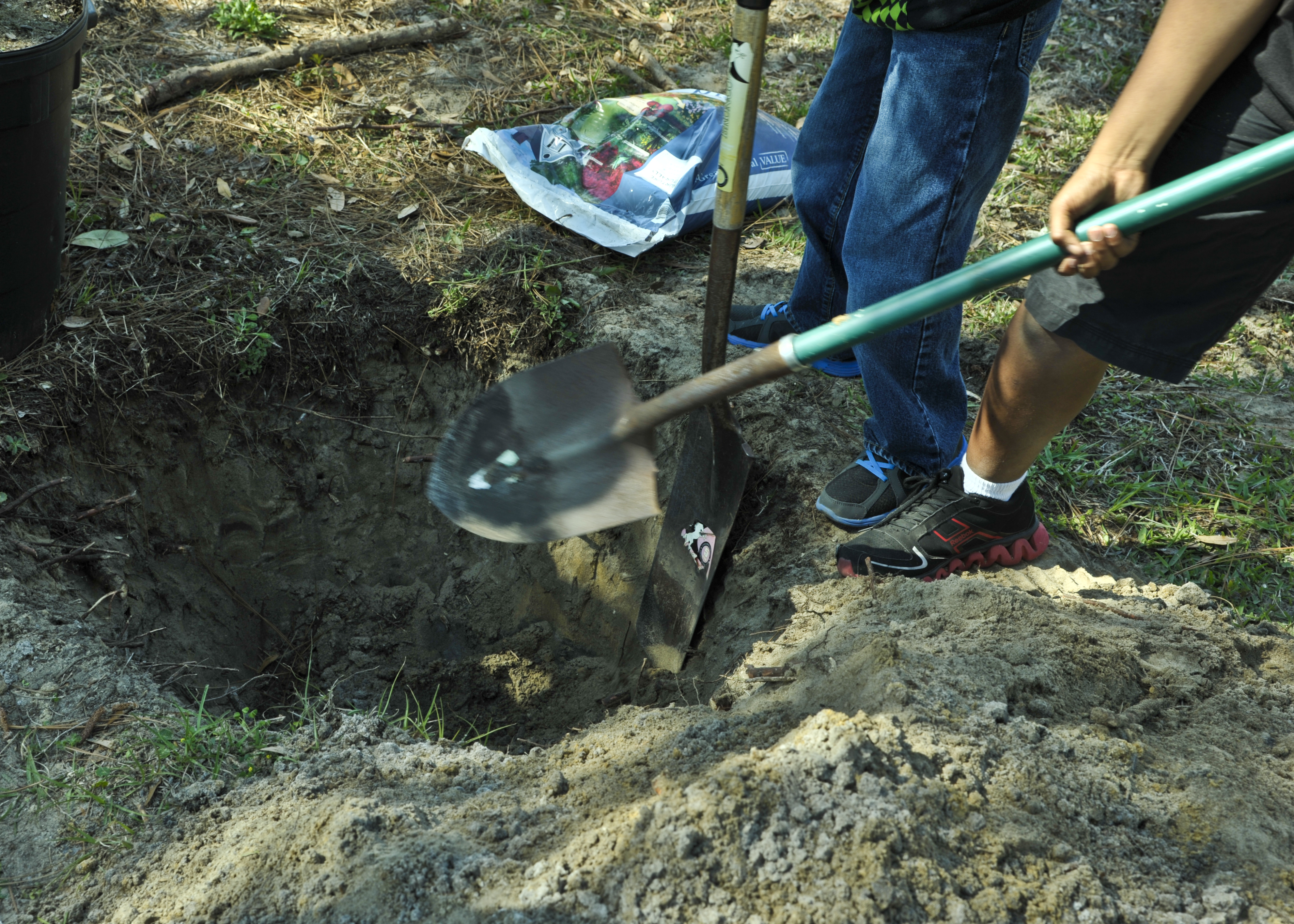 Children answer call of nature