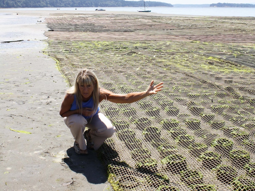 Regulatory survives tidal wave of permit actions > Seattle District ...