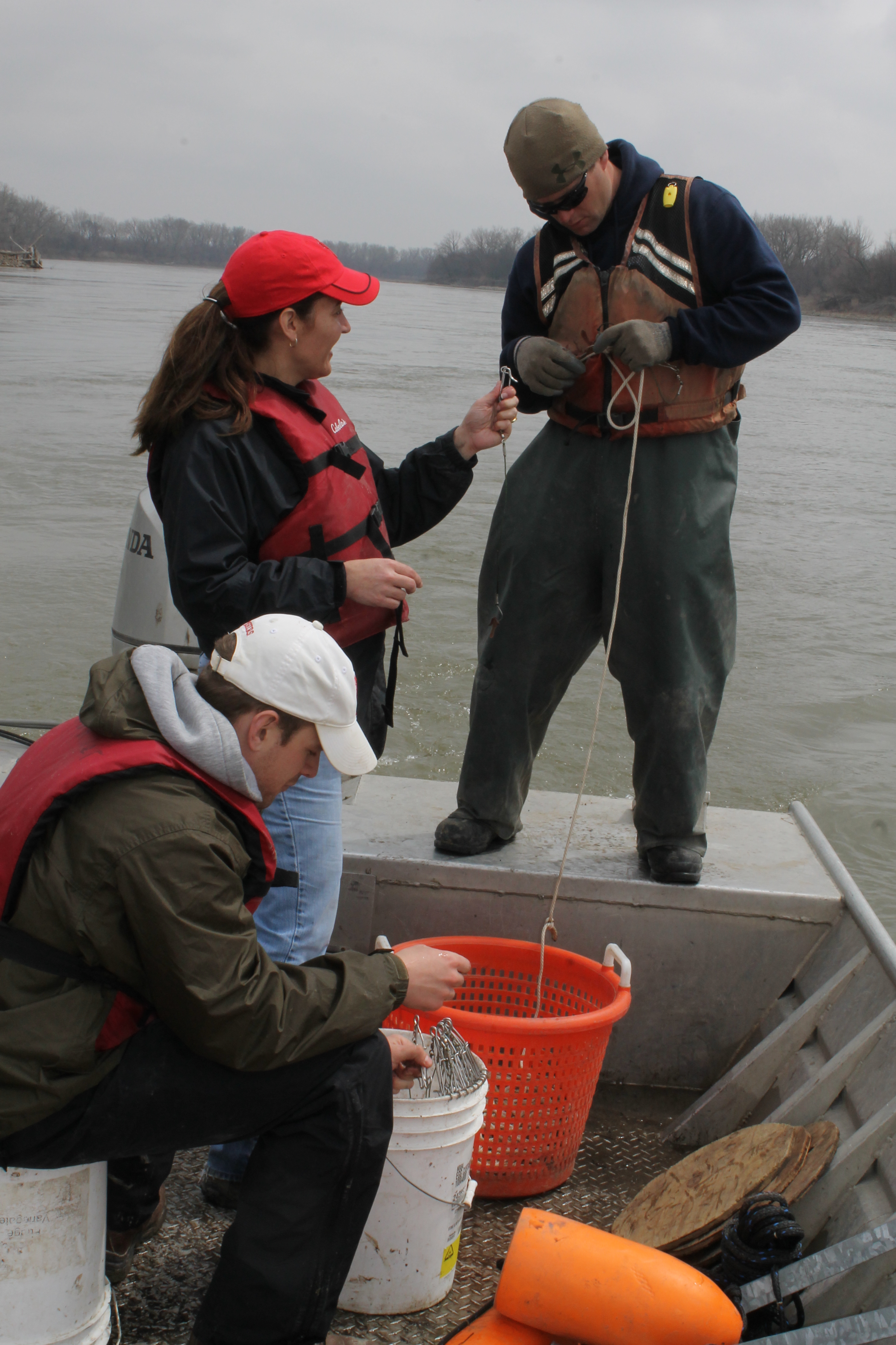 Friendly competition part of sturgeon broodstock collection > Omaha ...