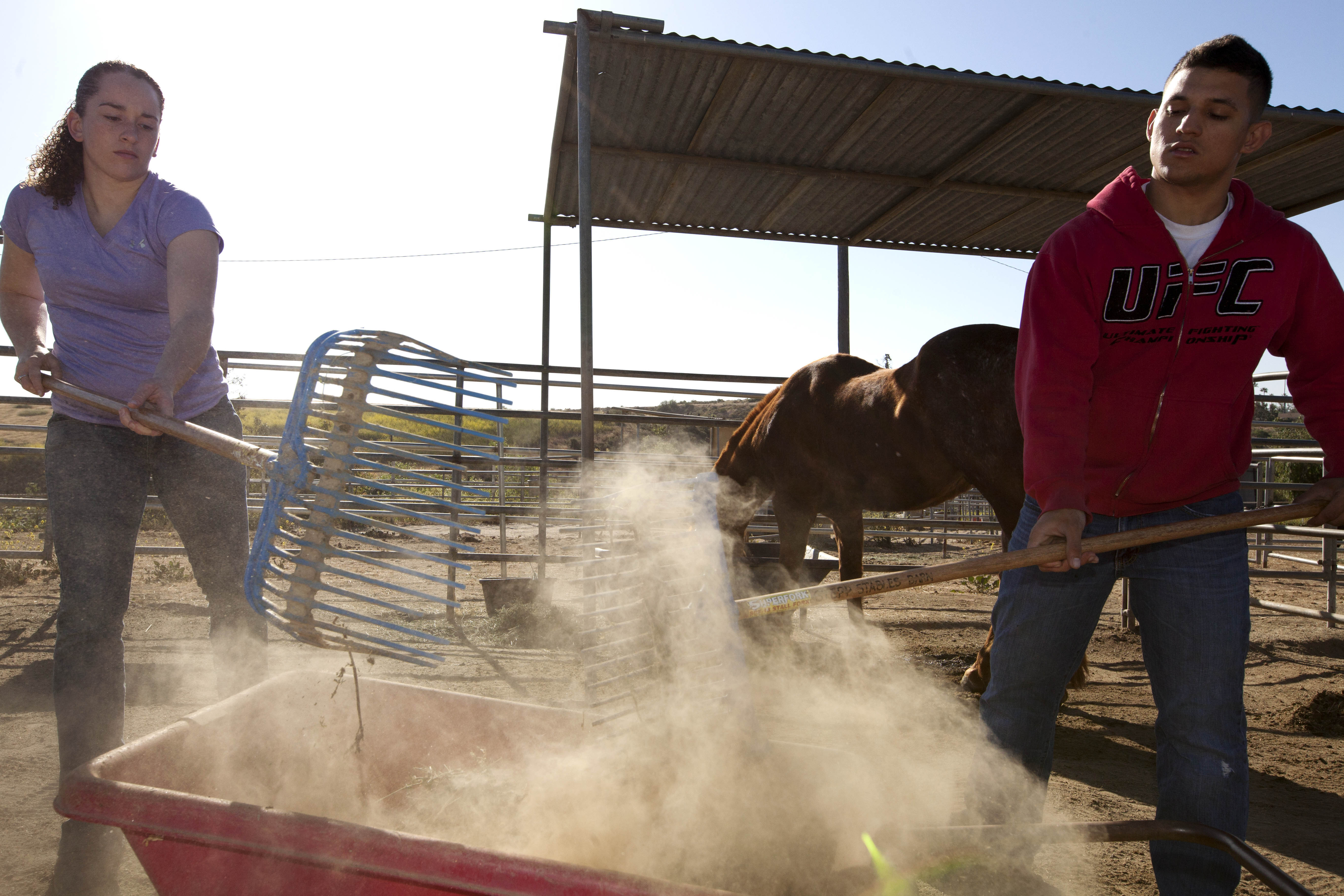 Marines volunteer at base stables