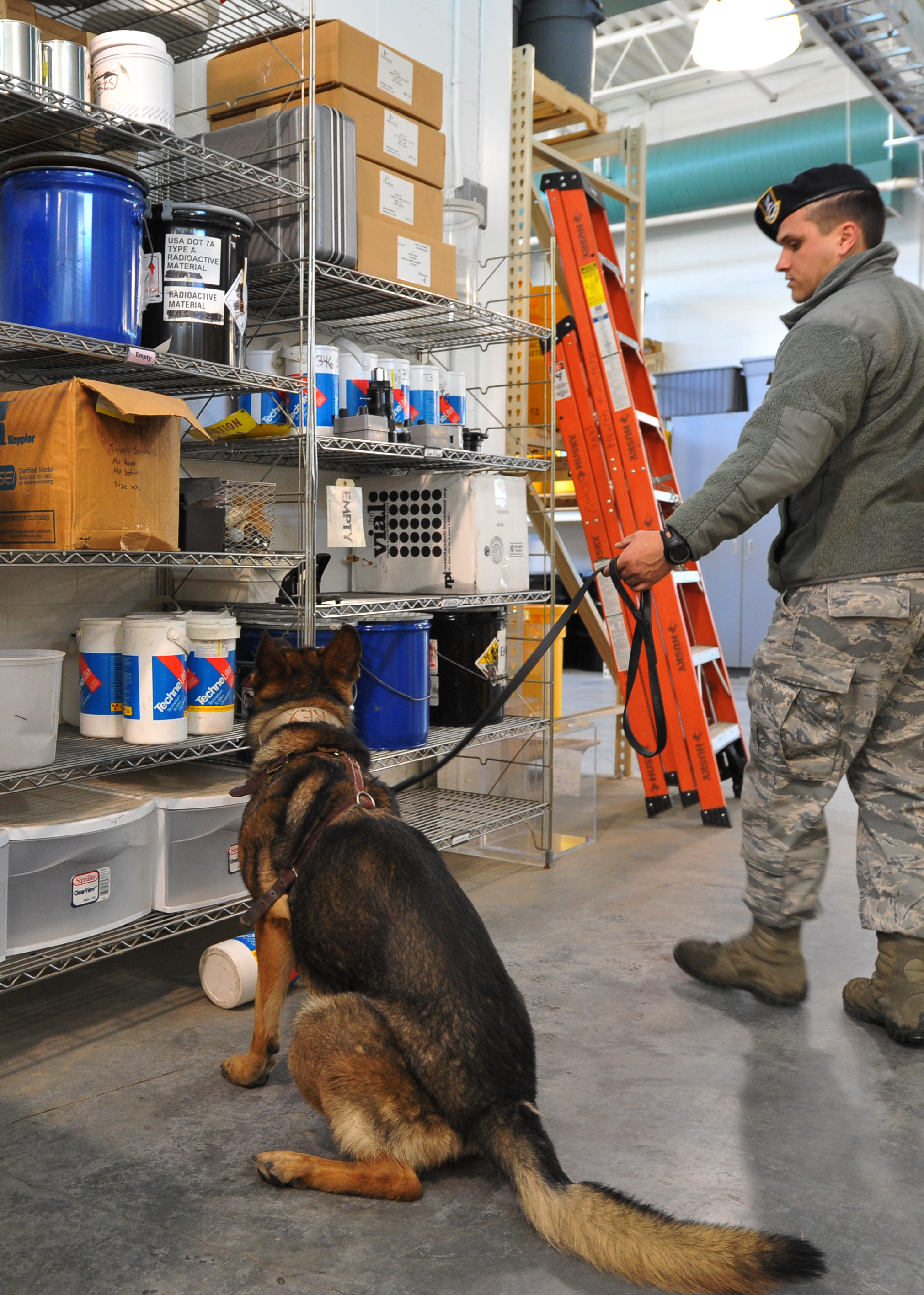 Multi-department K-9 training enhances capabilities, relations ...
