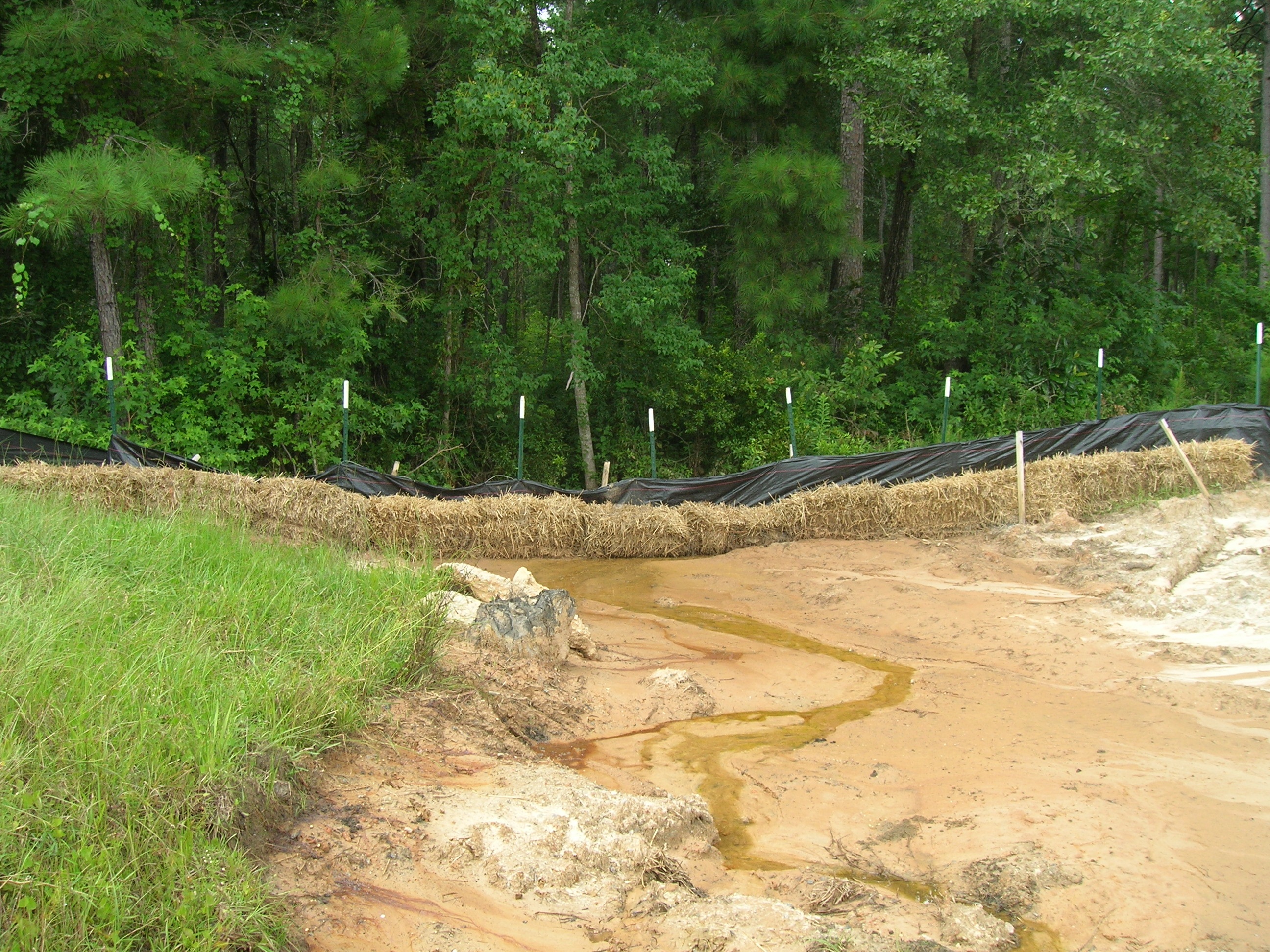 Dirt ... soil ... sand ... mud > Joint Base Charleston > Article Display
